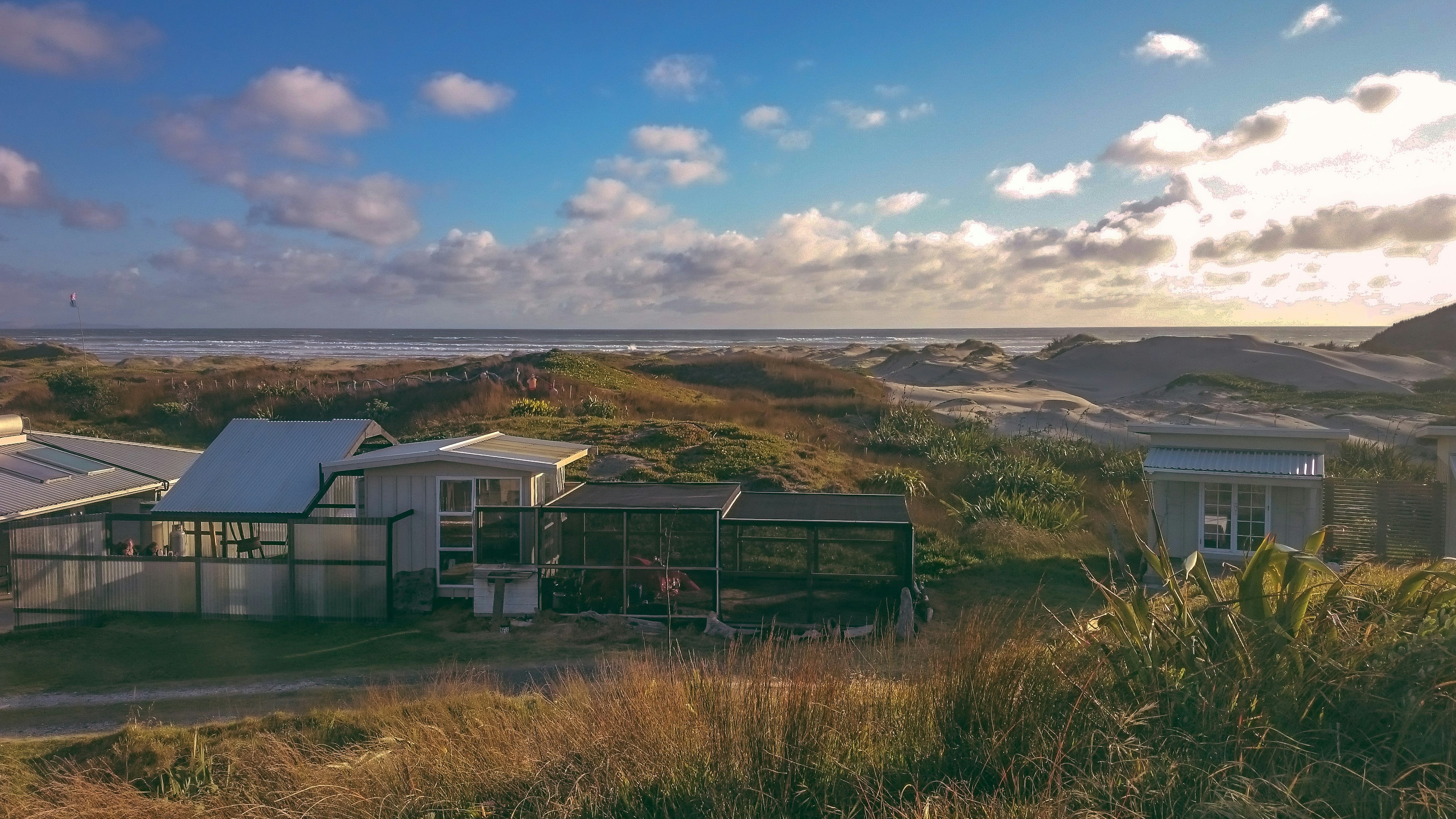 Waiharara Photos | Télécharger des images gratuites sur Unsplash