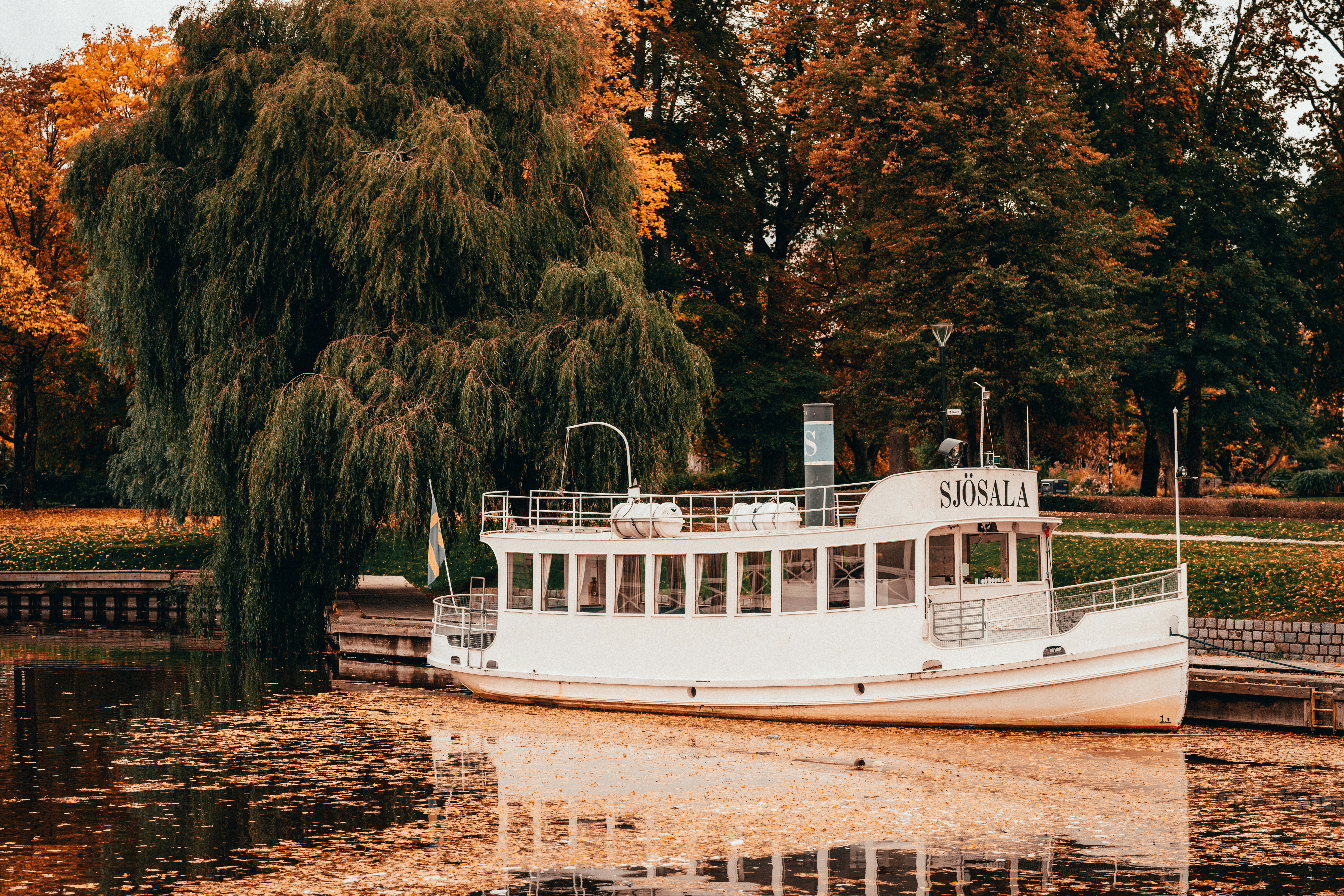 Bote blanco en el río cerca de los árboles foto – Imagen de Bote ...