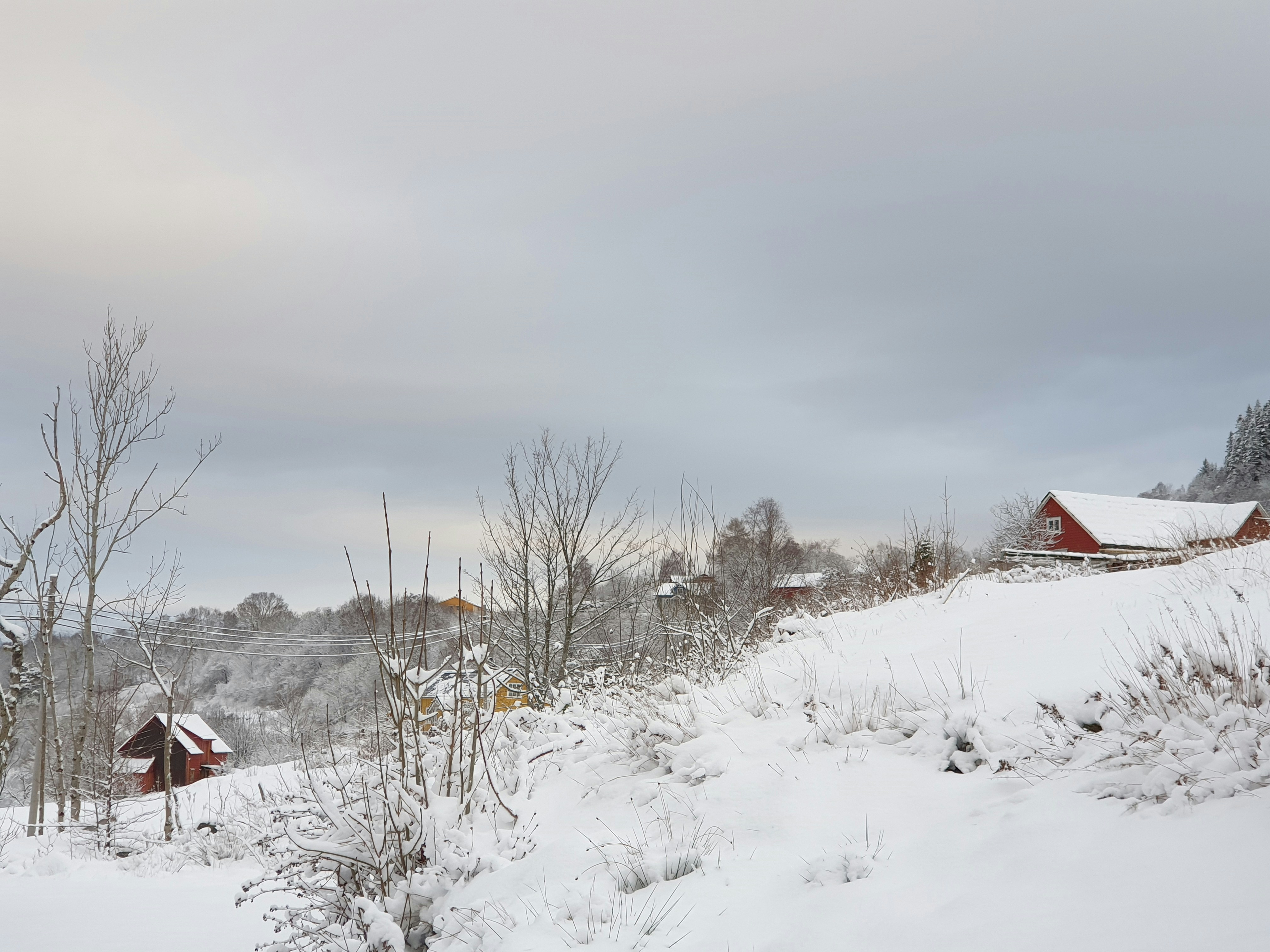 Snow-covered landscape featuring quaint red cabins nestled among bare trees, evoking a tranquil winter atmosphere.
