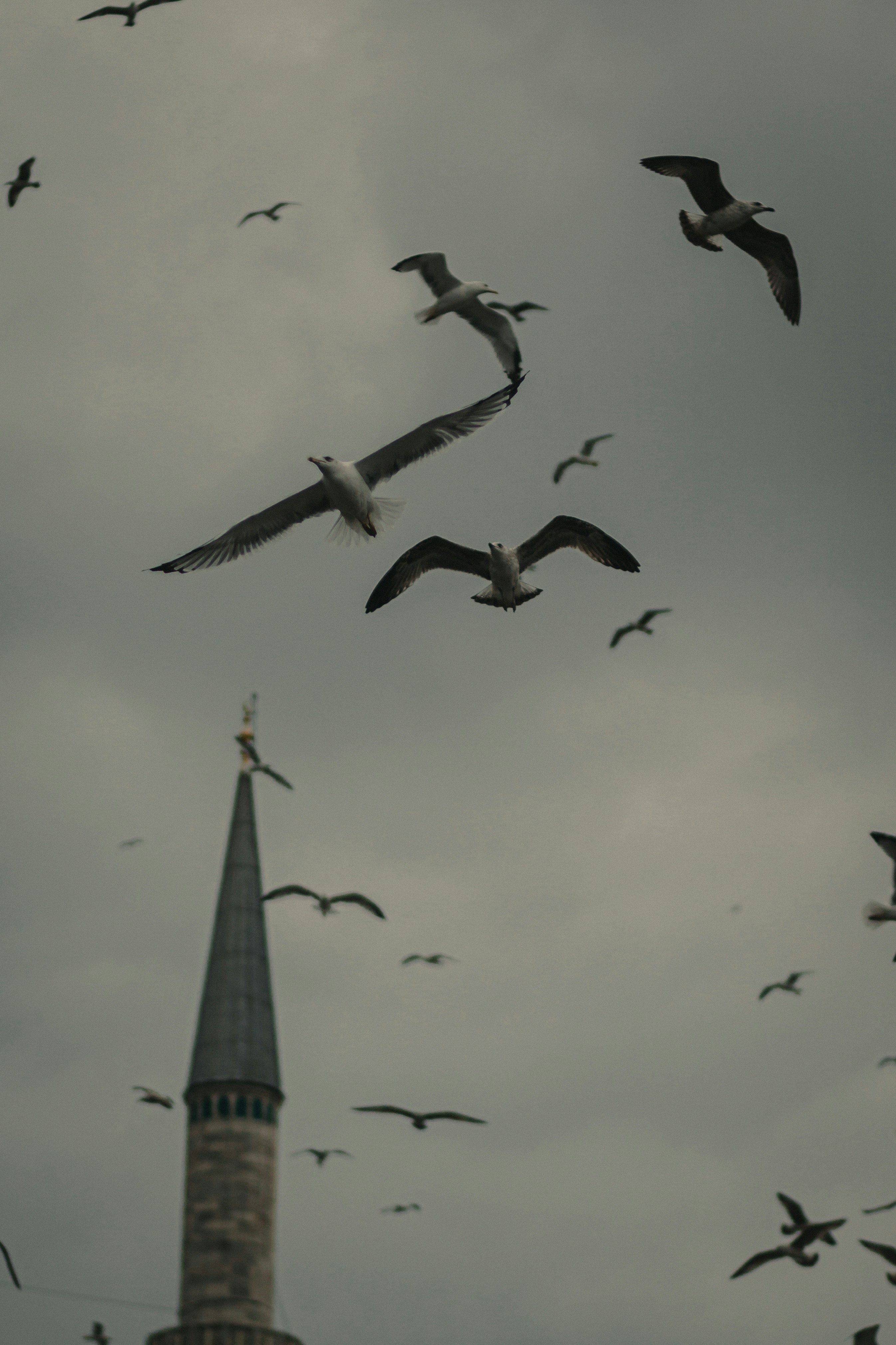 Sample photo from Canon EOS 50D