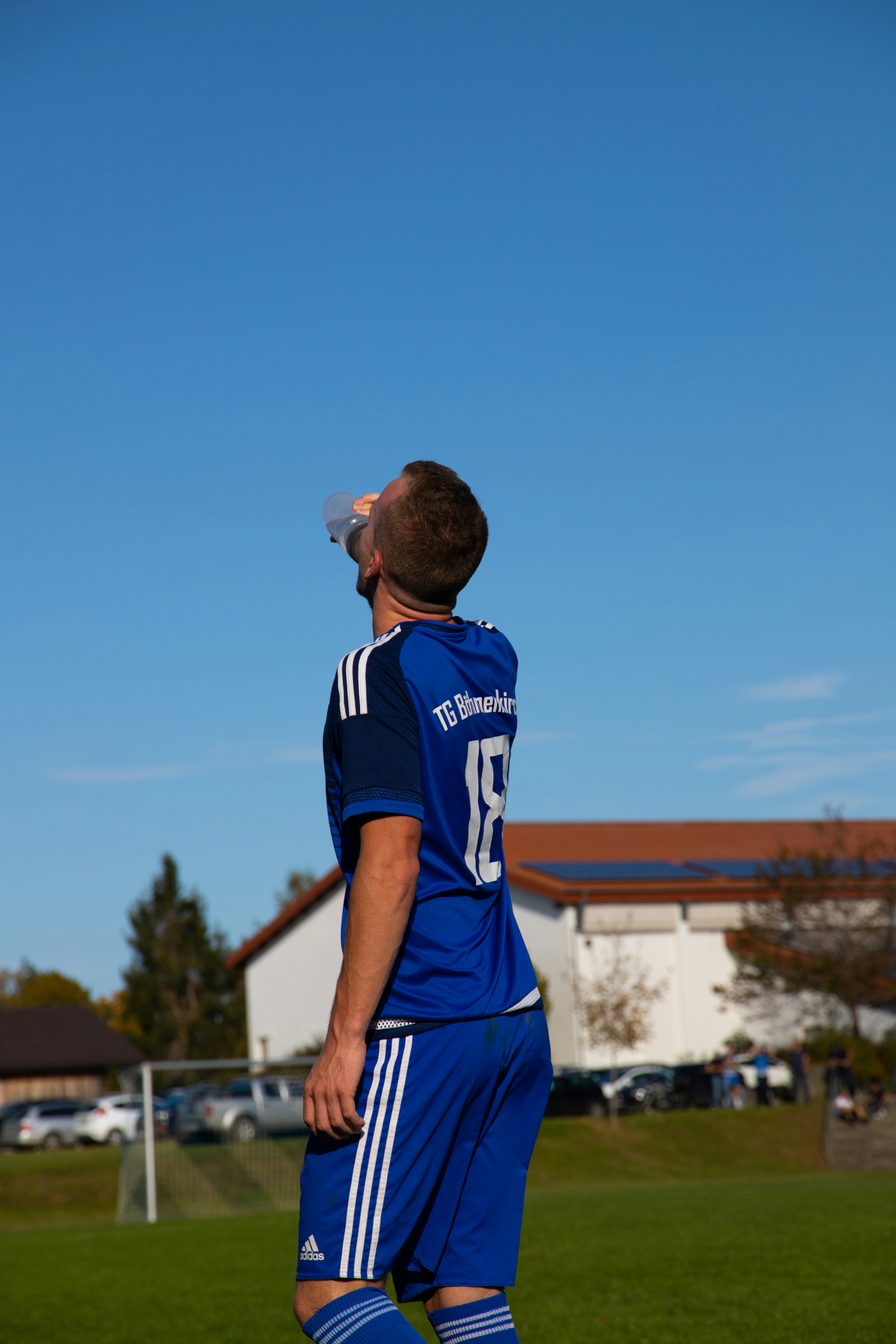 Afternoon Cup Break: Blue kit savoring a sunlit pause on the grass