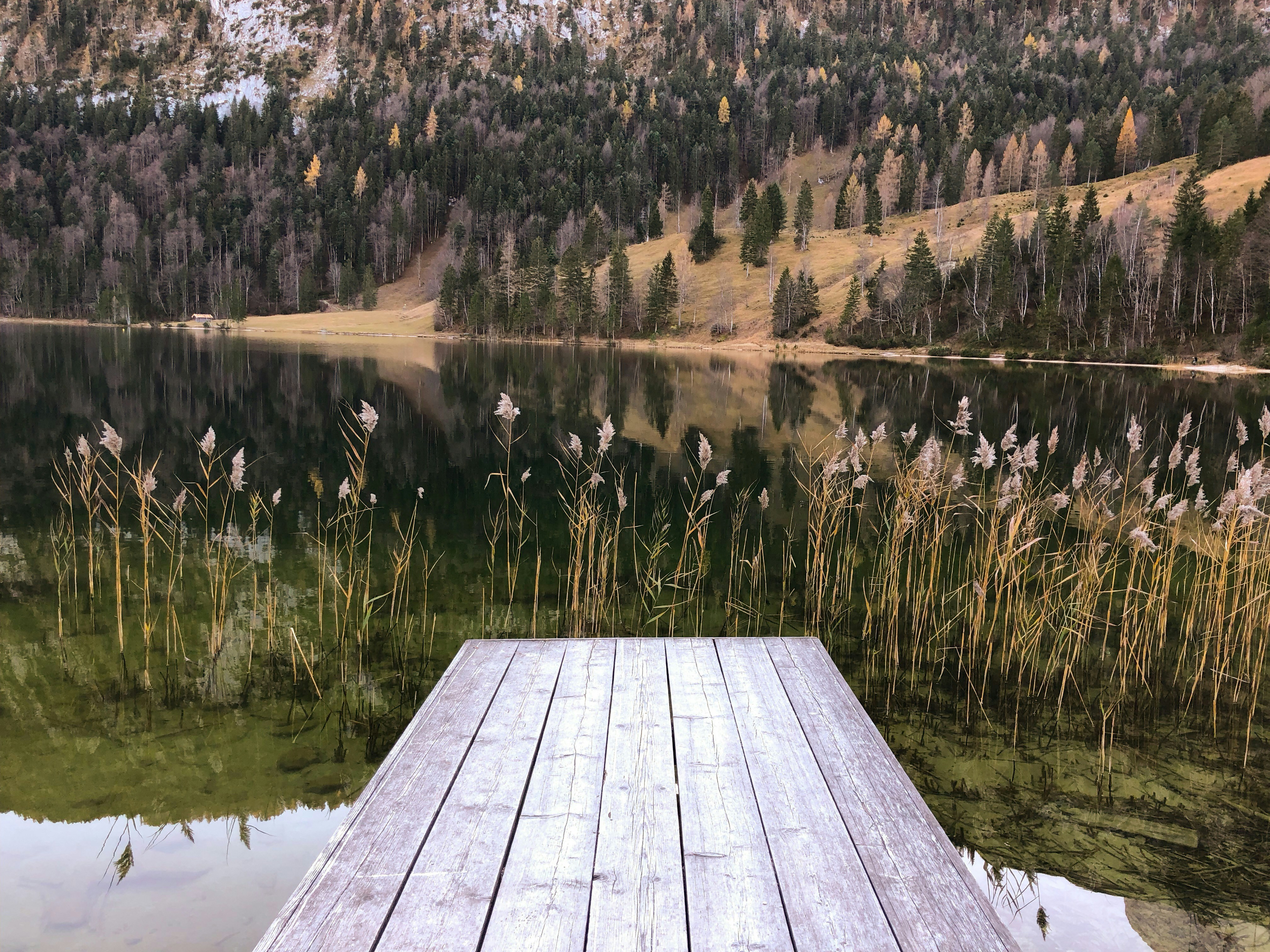 Reflections of Tranquility on the Water's Edge
