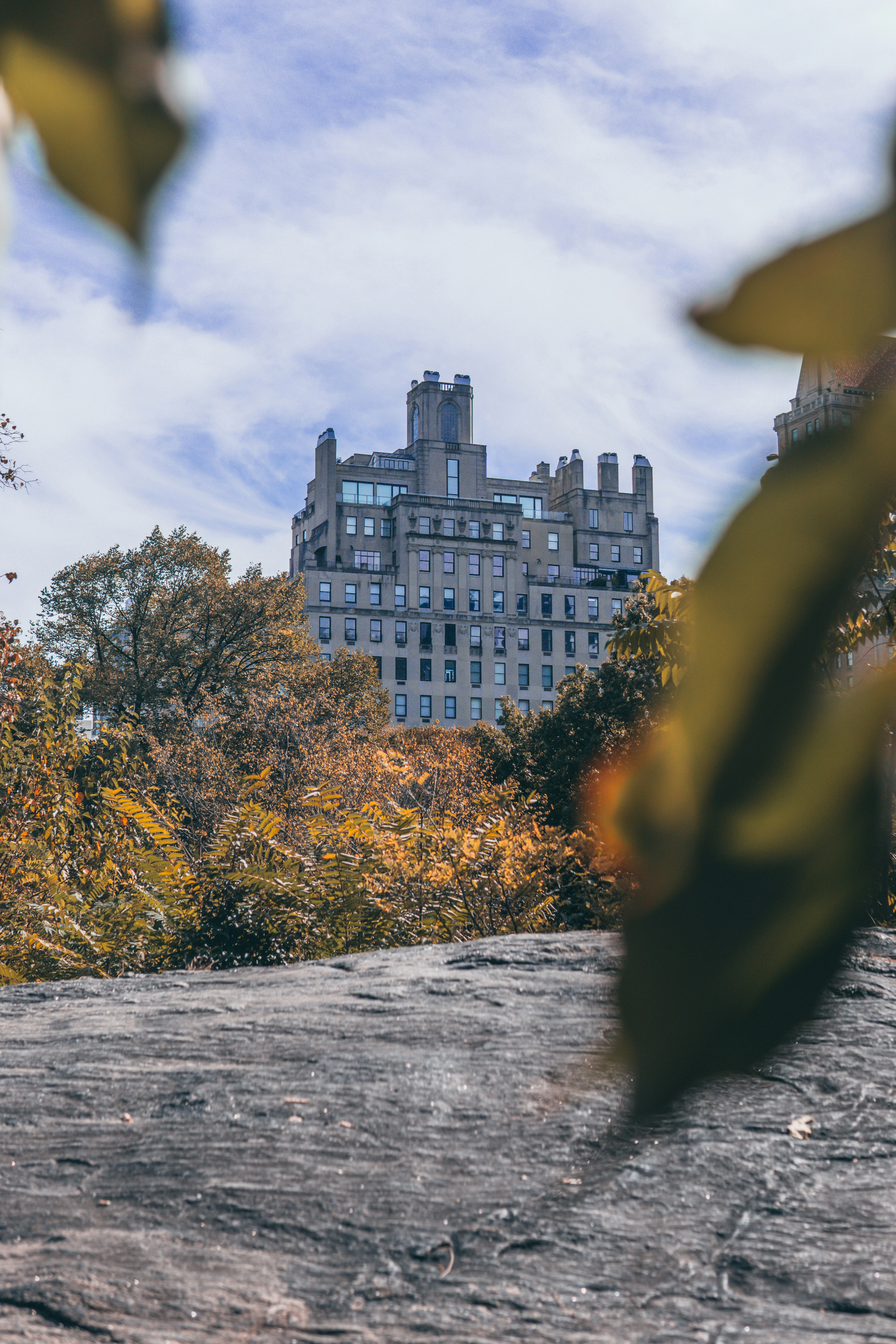 White castle photo – Free Tree Image on Unsplash