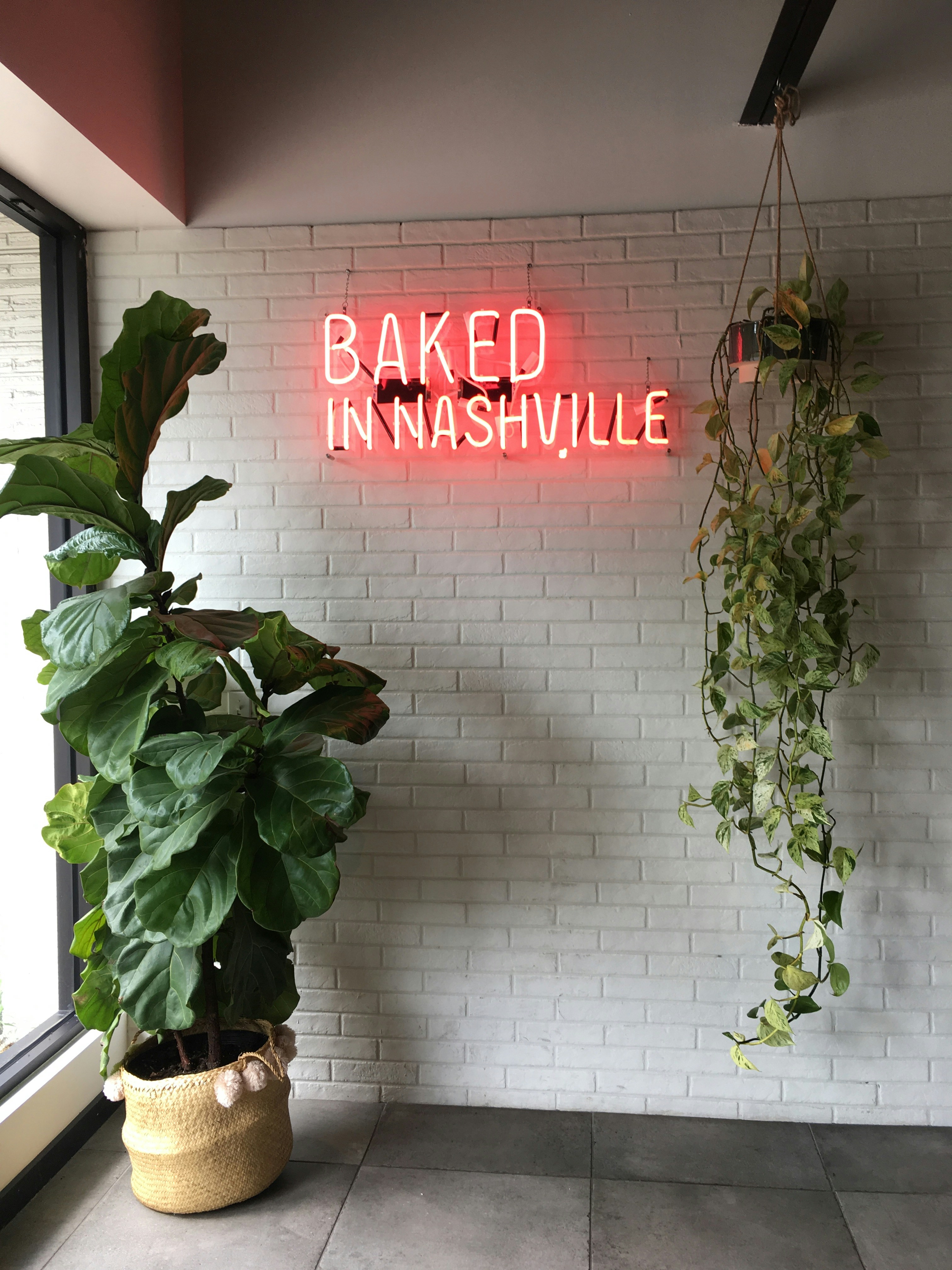 Neon Sign and Foliage in a Minimal Studio
