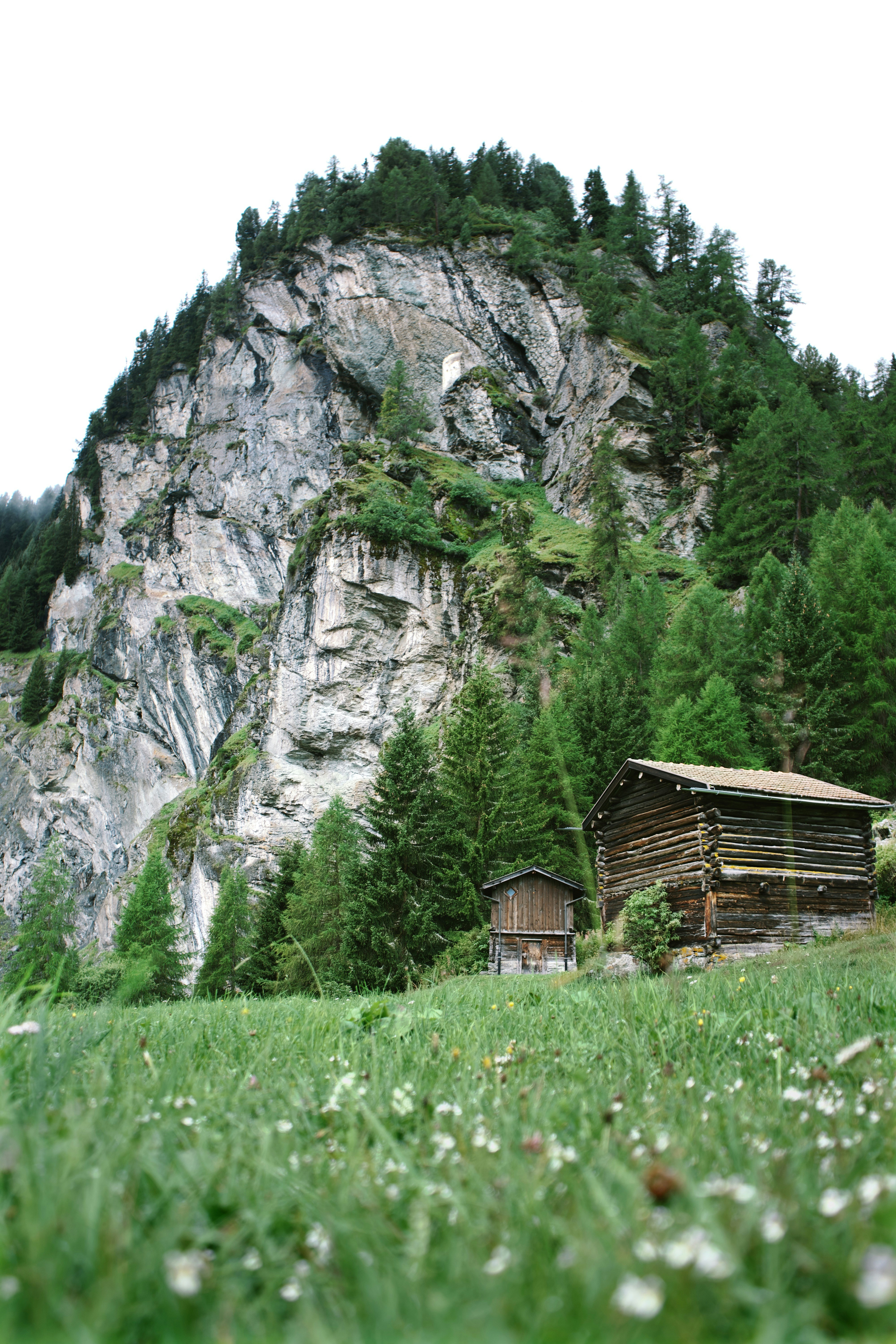 A serene alpine landscape featuring rustic wooden cabins nestled at the base of a towering cliff, surrounded by lush greenery and wildflowers.