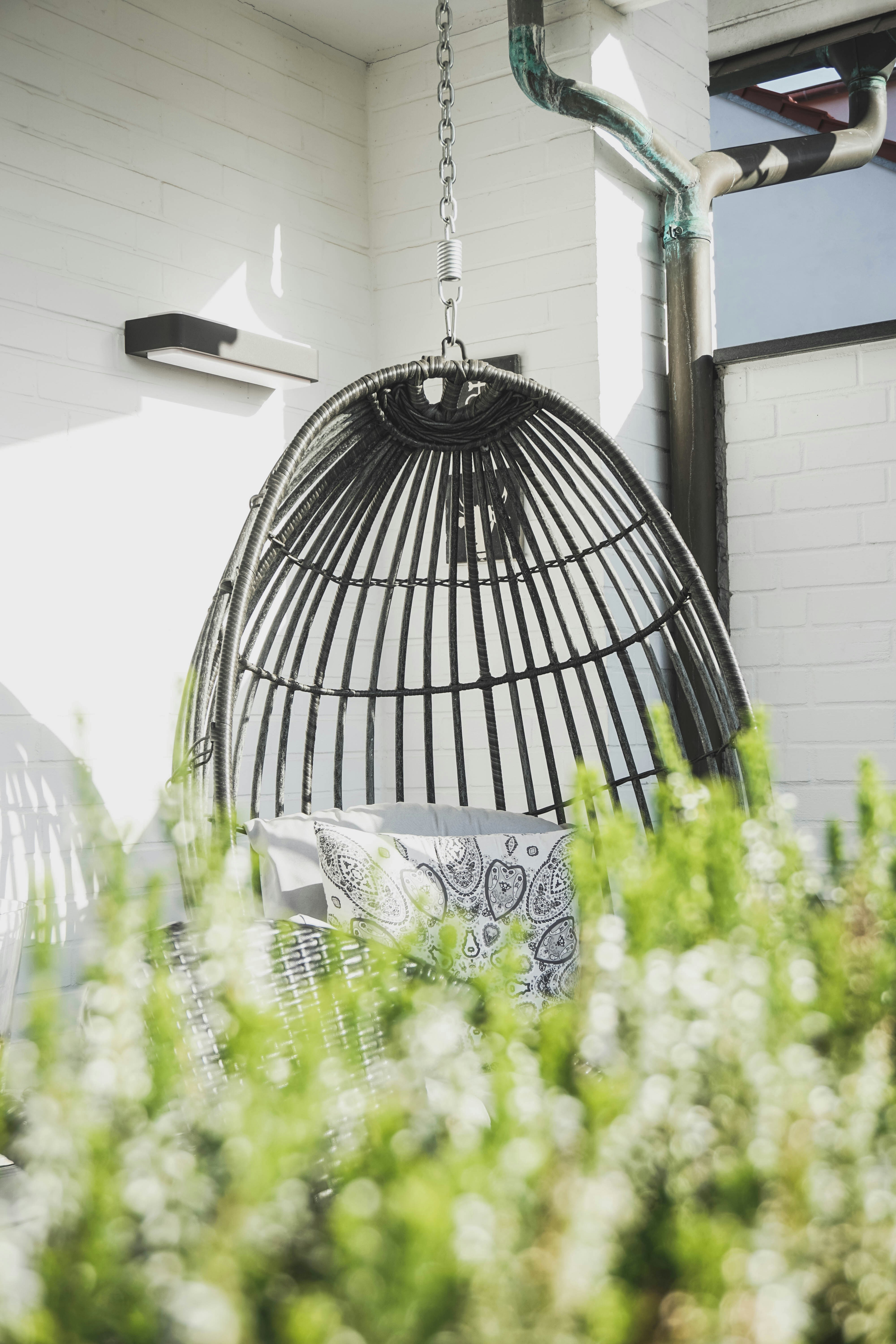 Terace Pictures | Download Free Images on Unsplash