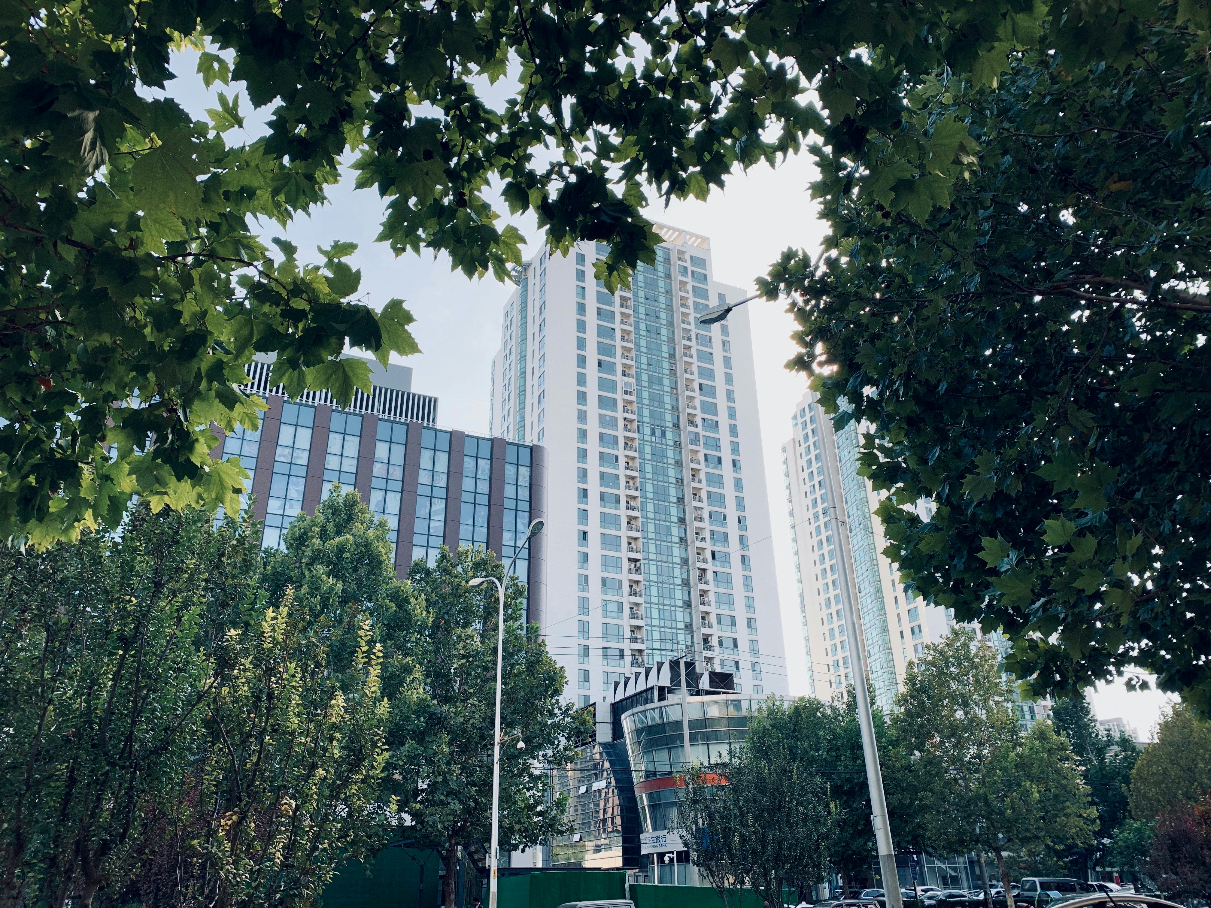 Tall residential buildings rise among lush green trees, showcasing a blend of nature and urban design.