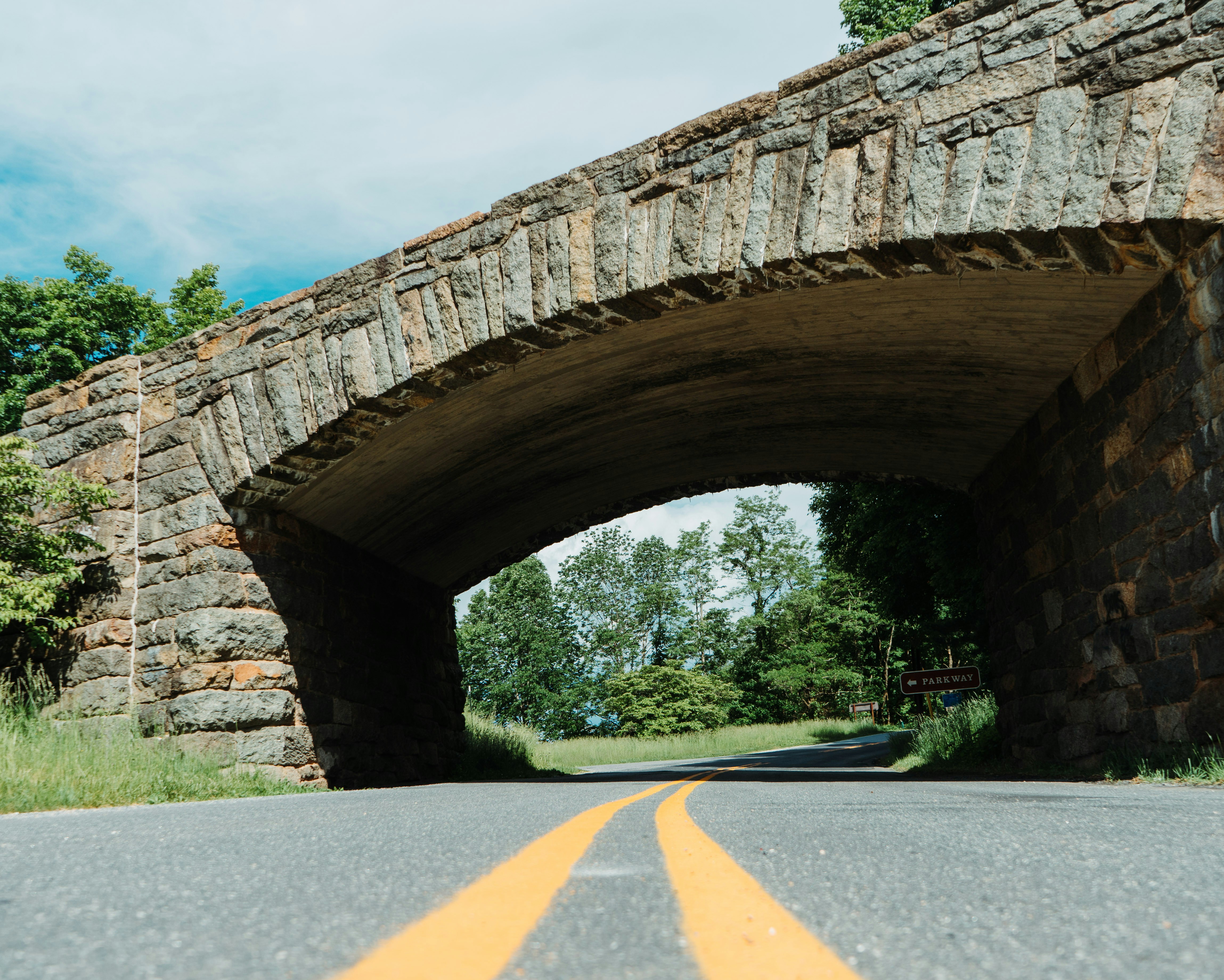 Green trees near bridge photo – Free Road Image on Unsplash