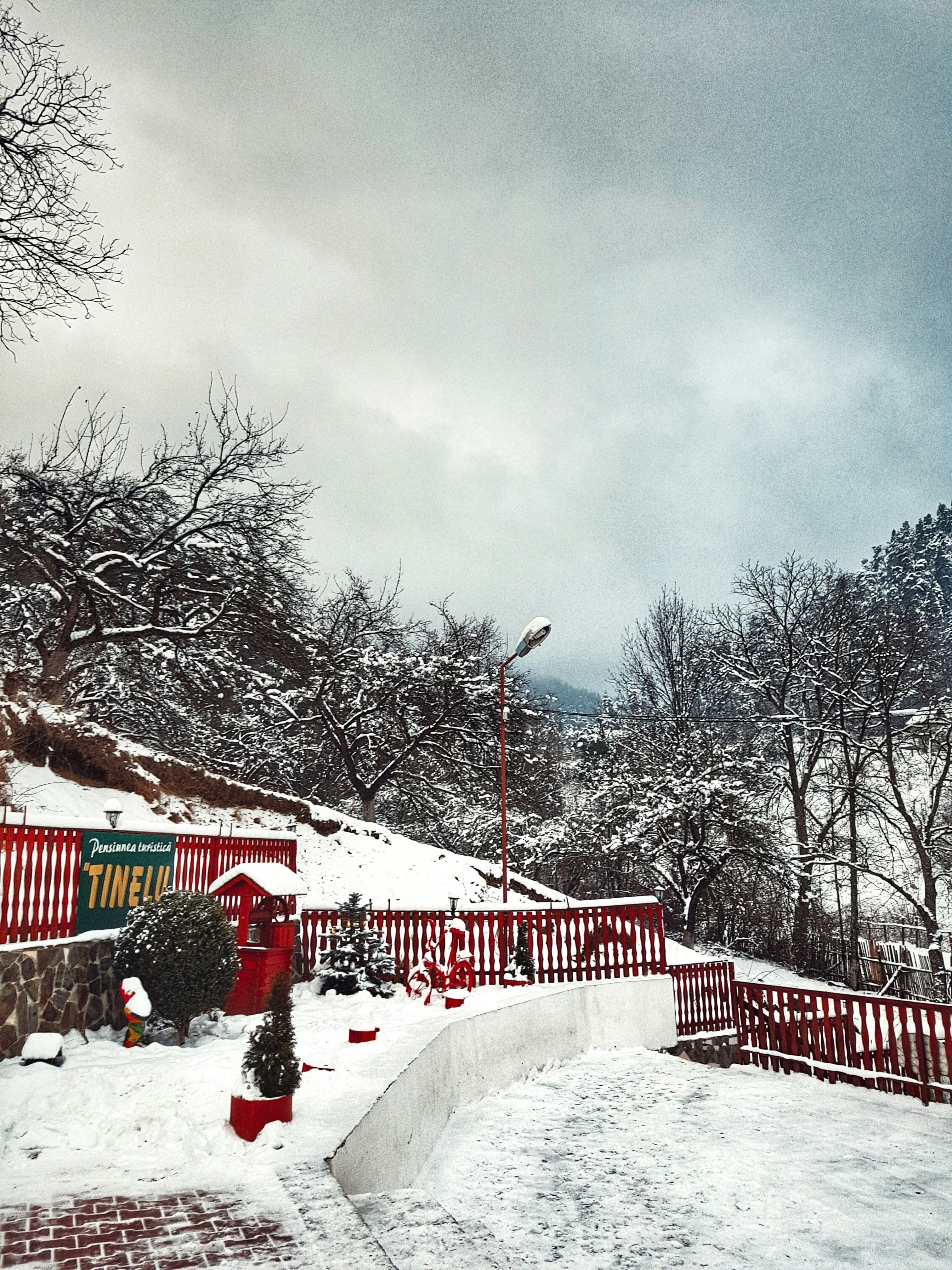 Snowbound Terrace: Red Railings and Frosty Pines
