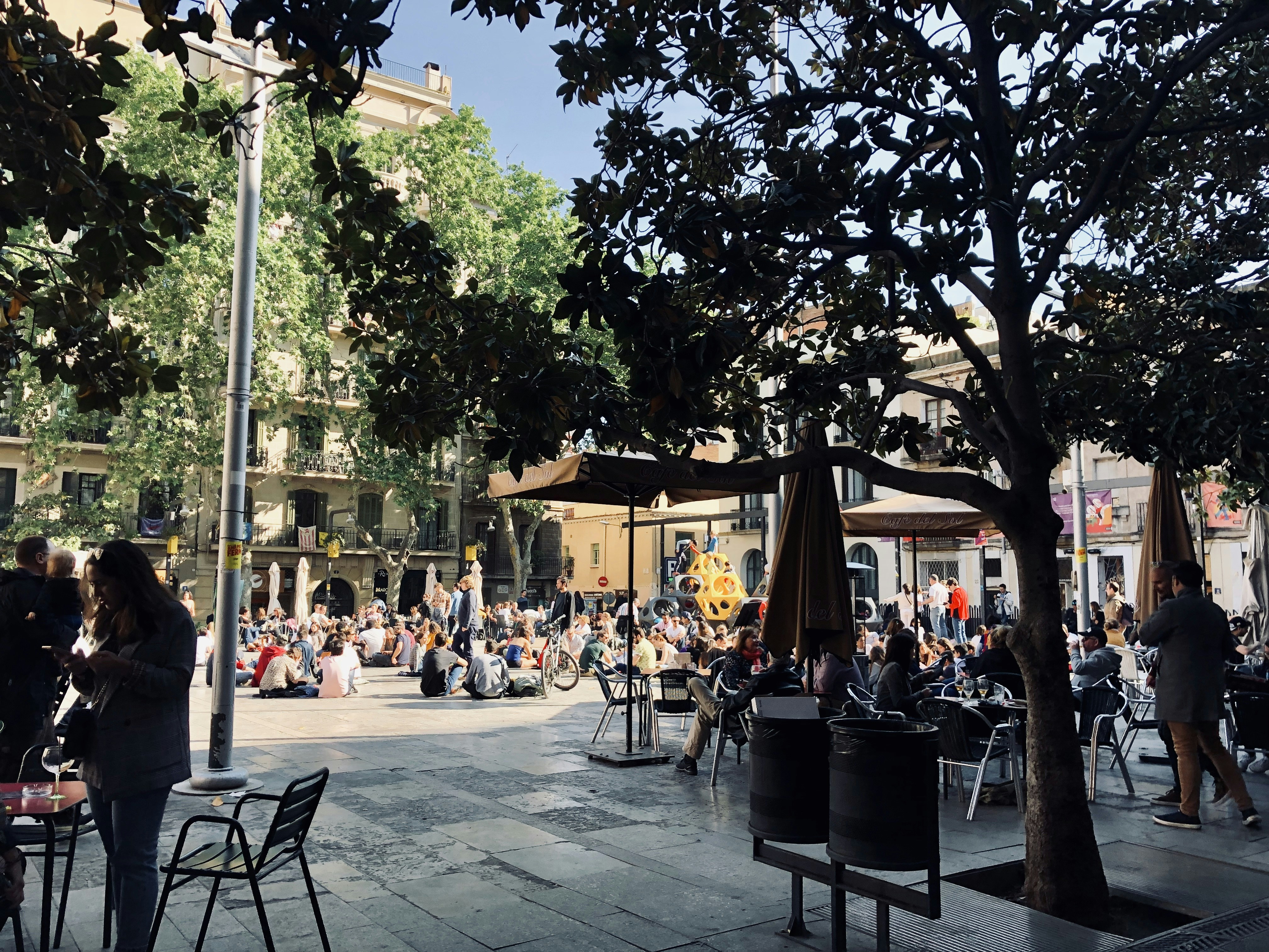 Shade and Conversation: a Sunlit City Plaza Café