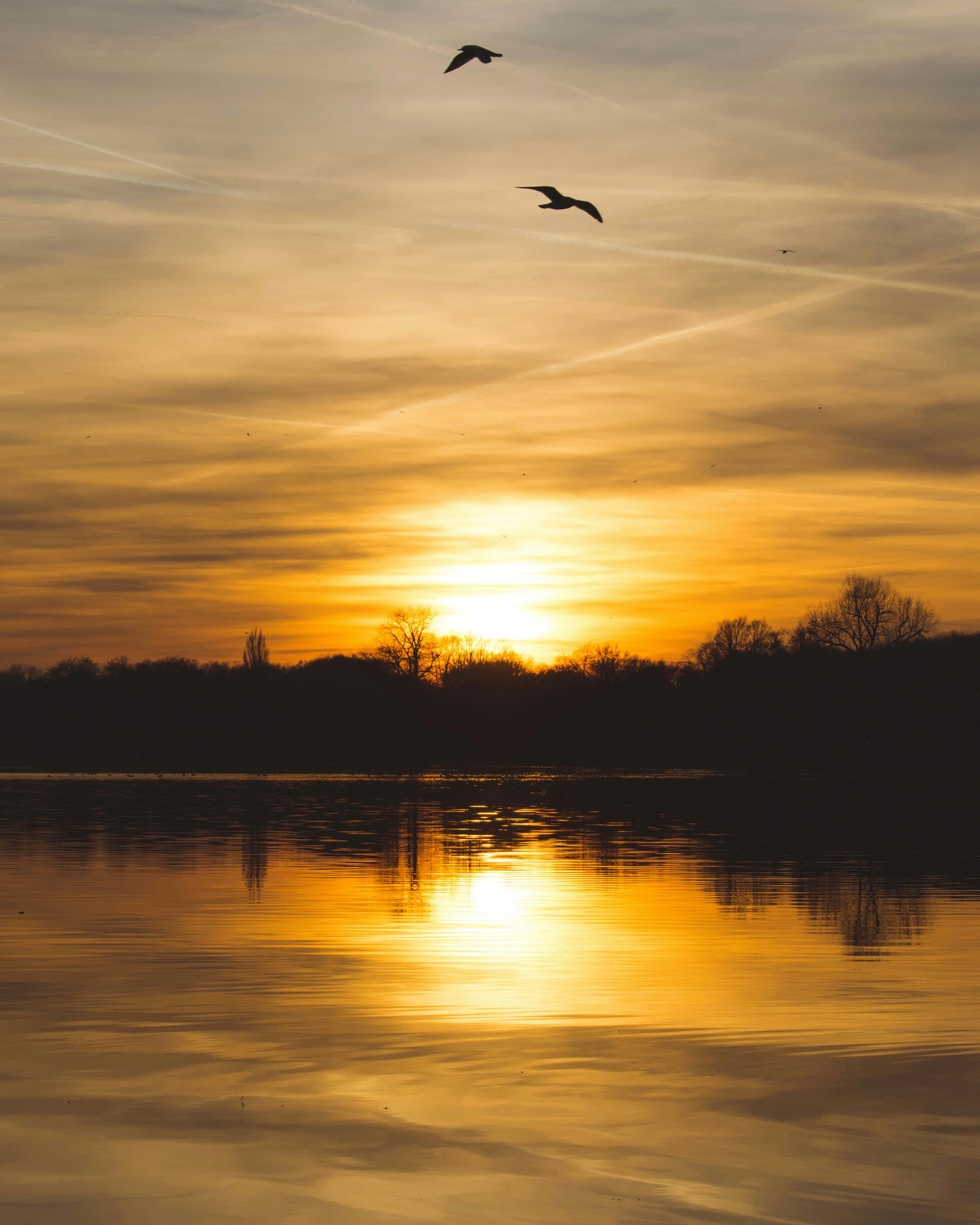 30,000+ Sunset River Pictures | Download Free Images on Unsplash