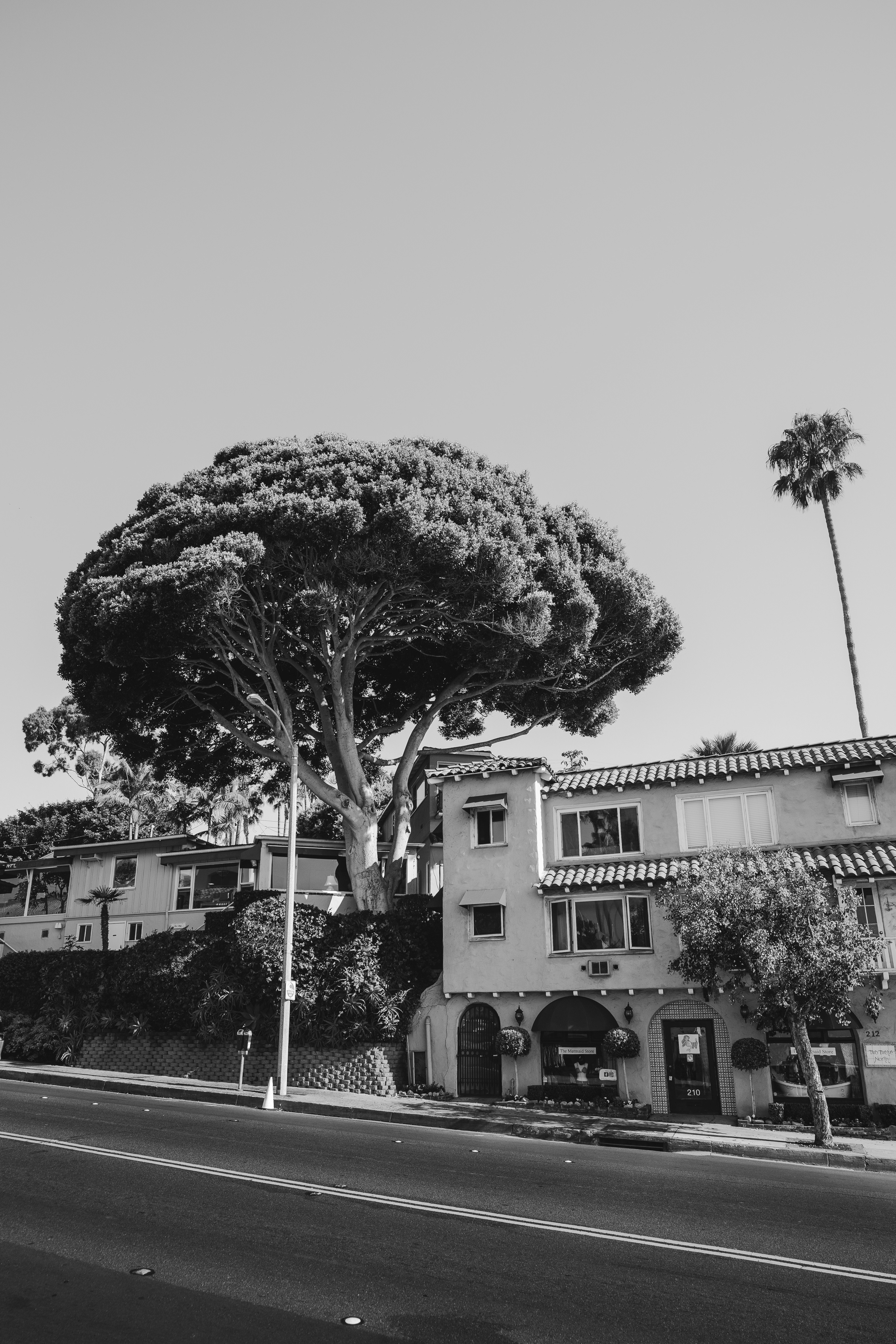 N Coast Hwy 1 through Laguna Beach, Ca.