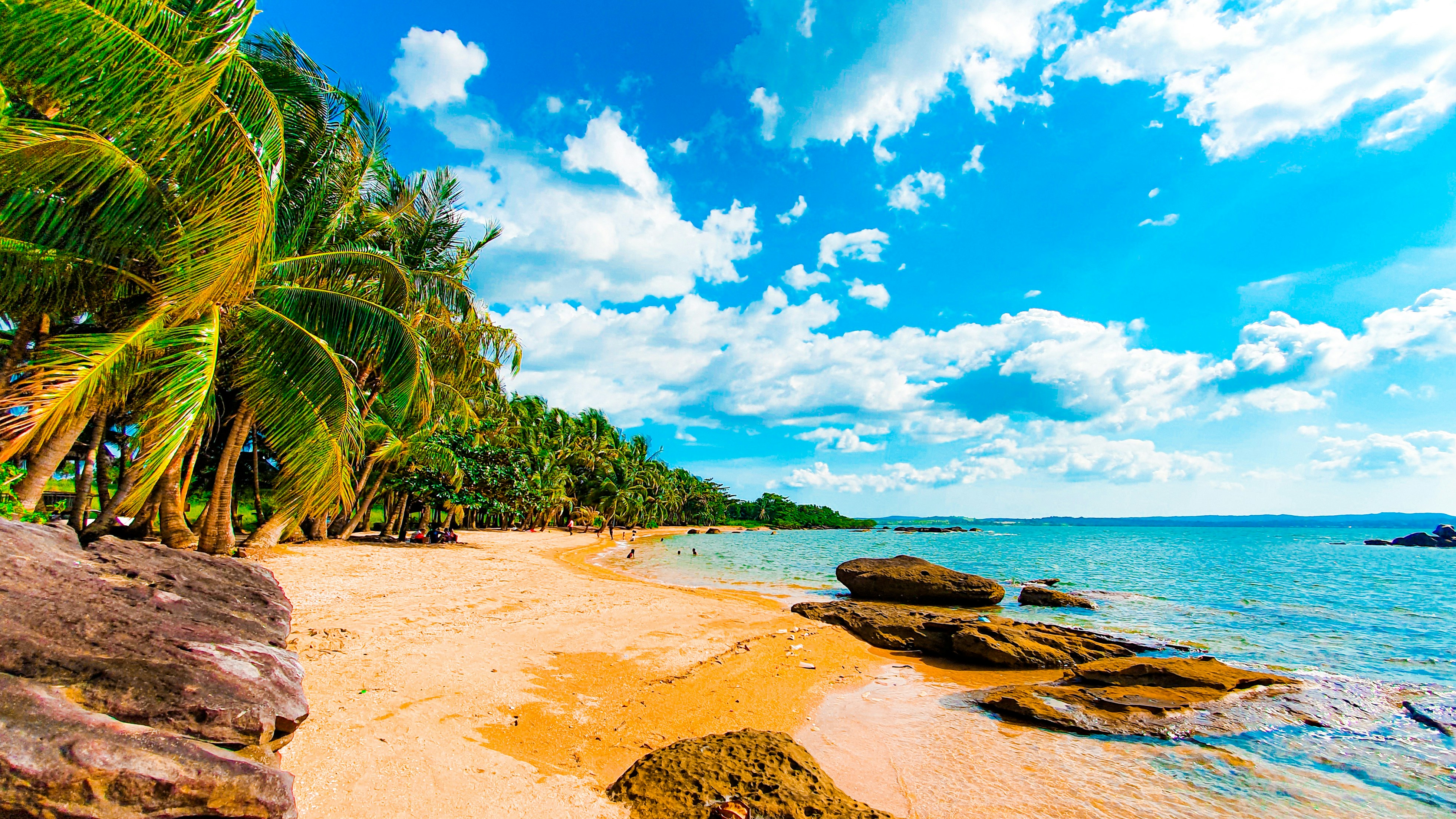 Wavy seashore during daytime photo – Free Beach Image on Unsplash