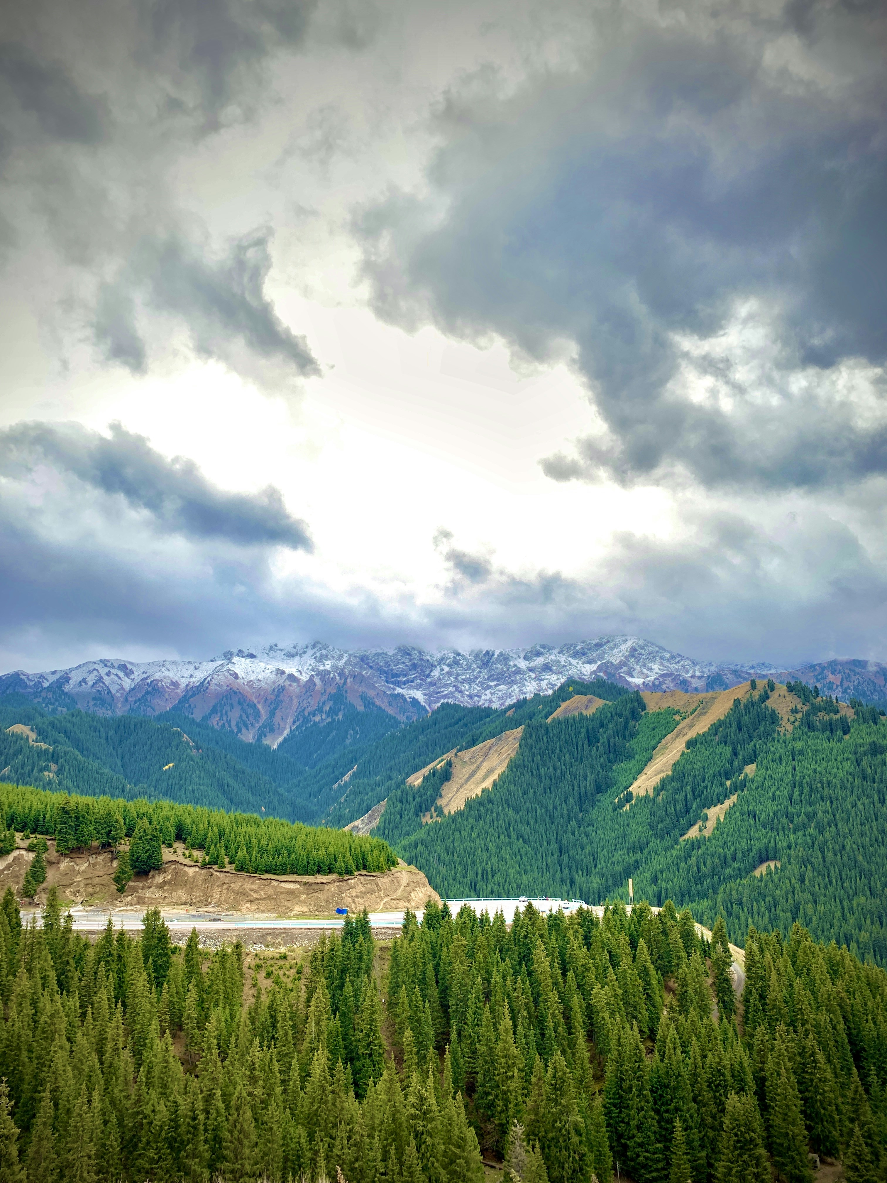 Snow-Capped Alpine Ridge Over a Verdant Pine Valley Beneath a Turbulent Sky