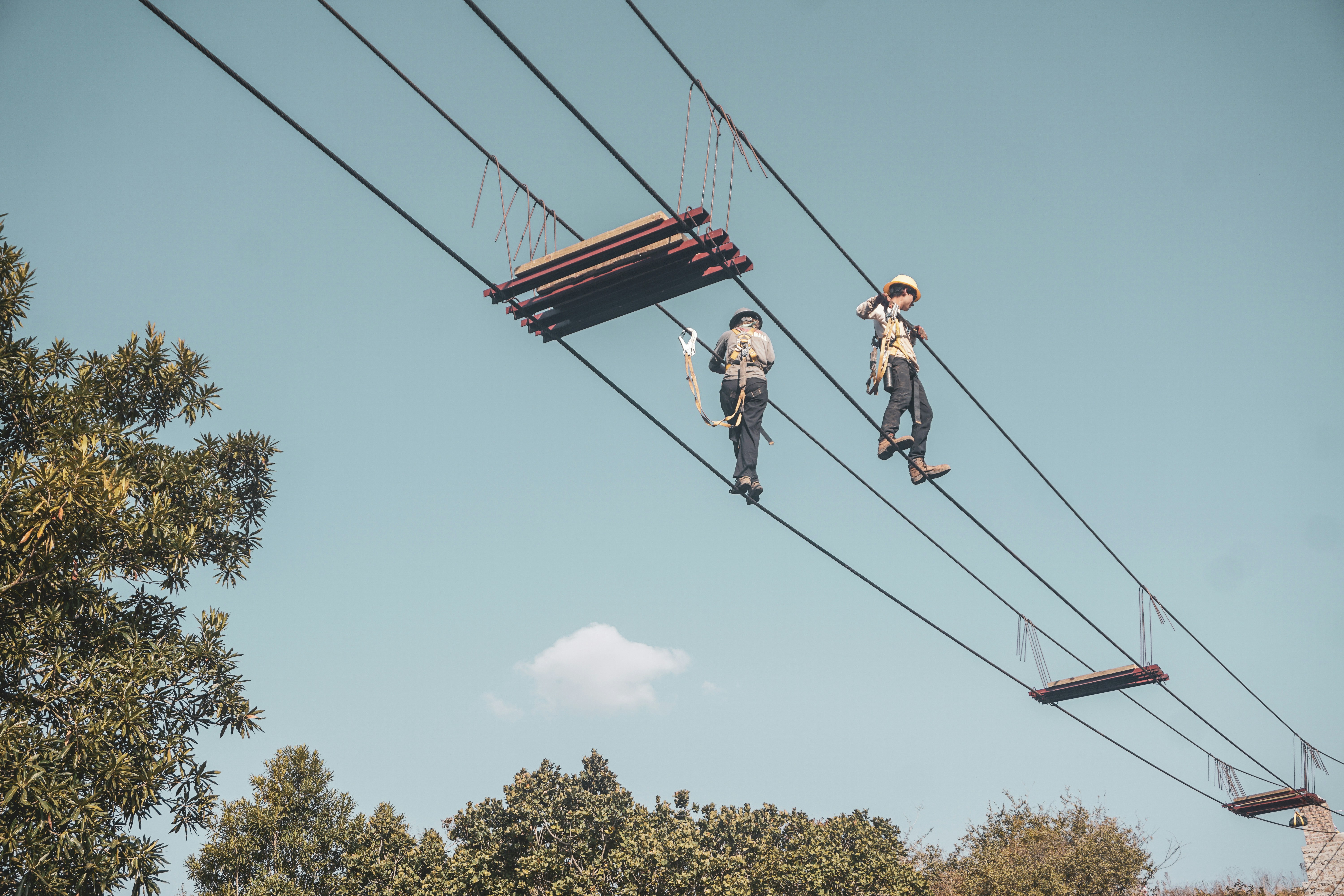 Suspended Steps: Two Climbers Traversing a High wooden Zipline
