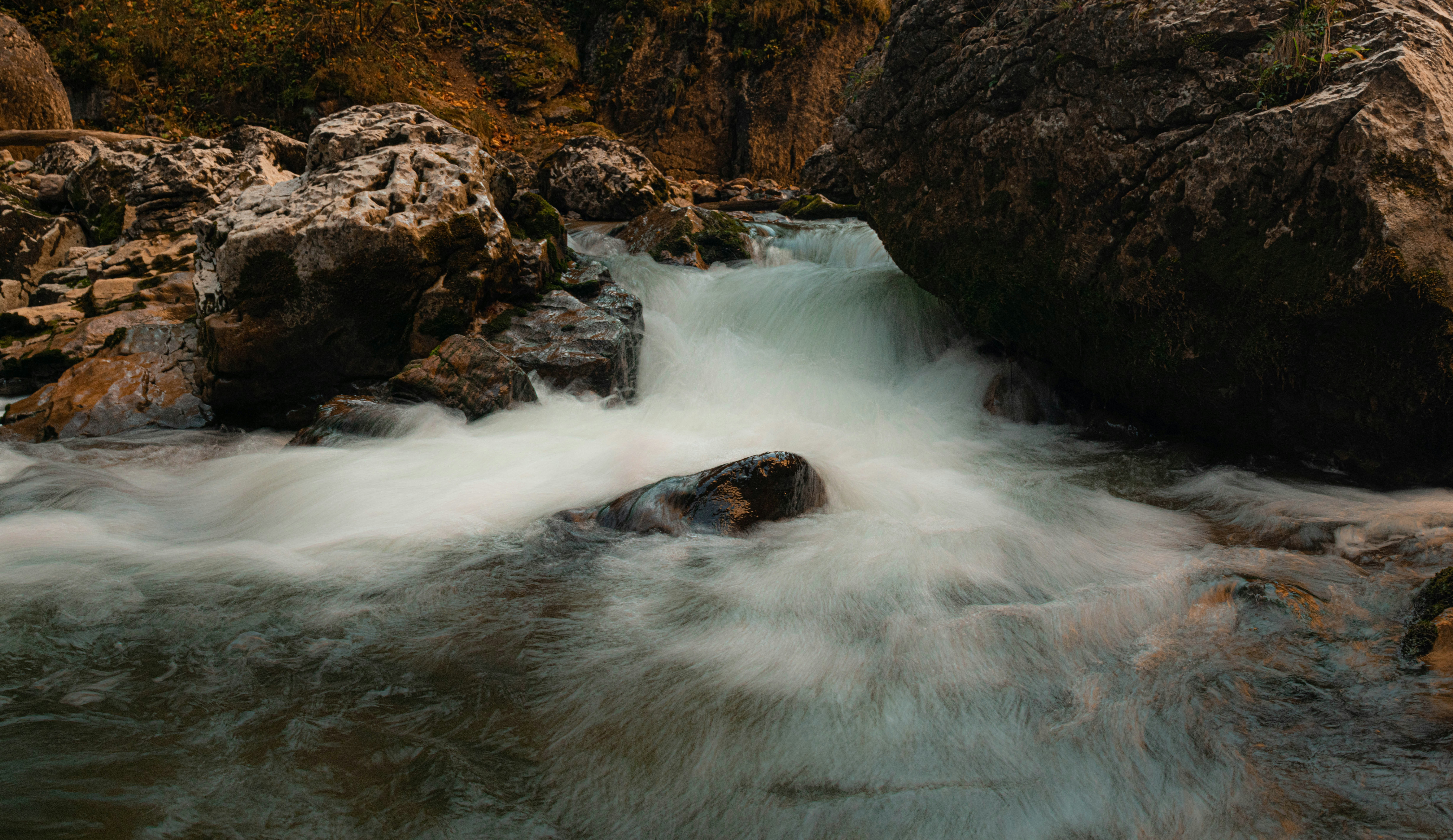 Smooth water flowing over rocks in a forest stream.