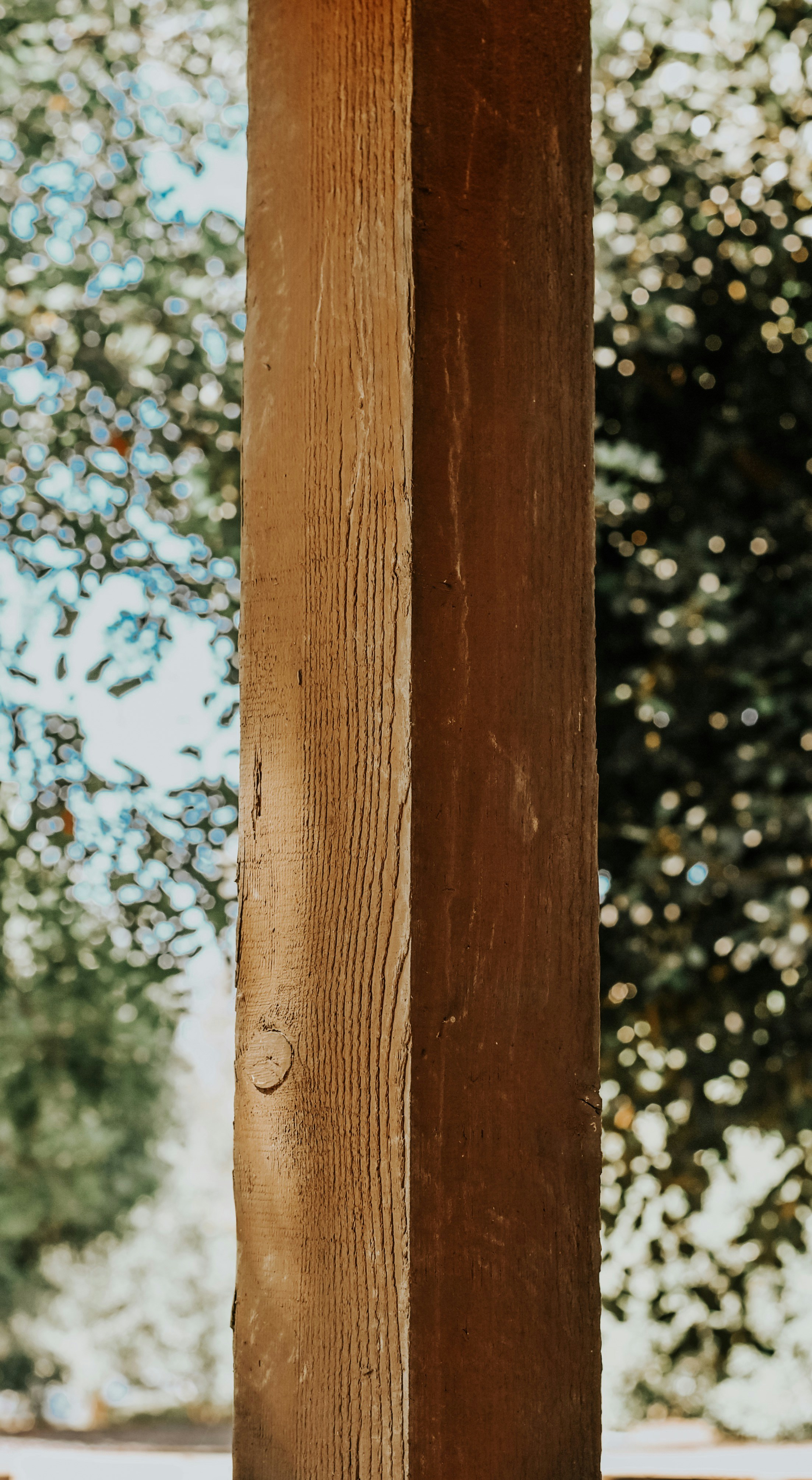 Sunlit Timber—A Vertical Study of a Weathered Beam Against a Blurred Foliage Backdrop