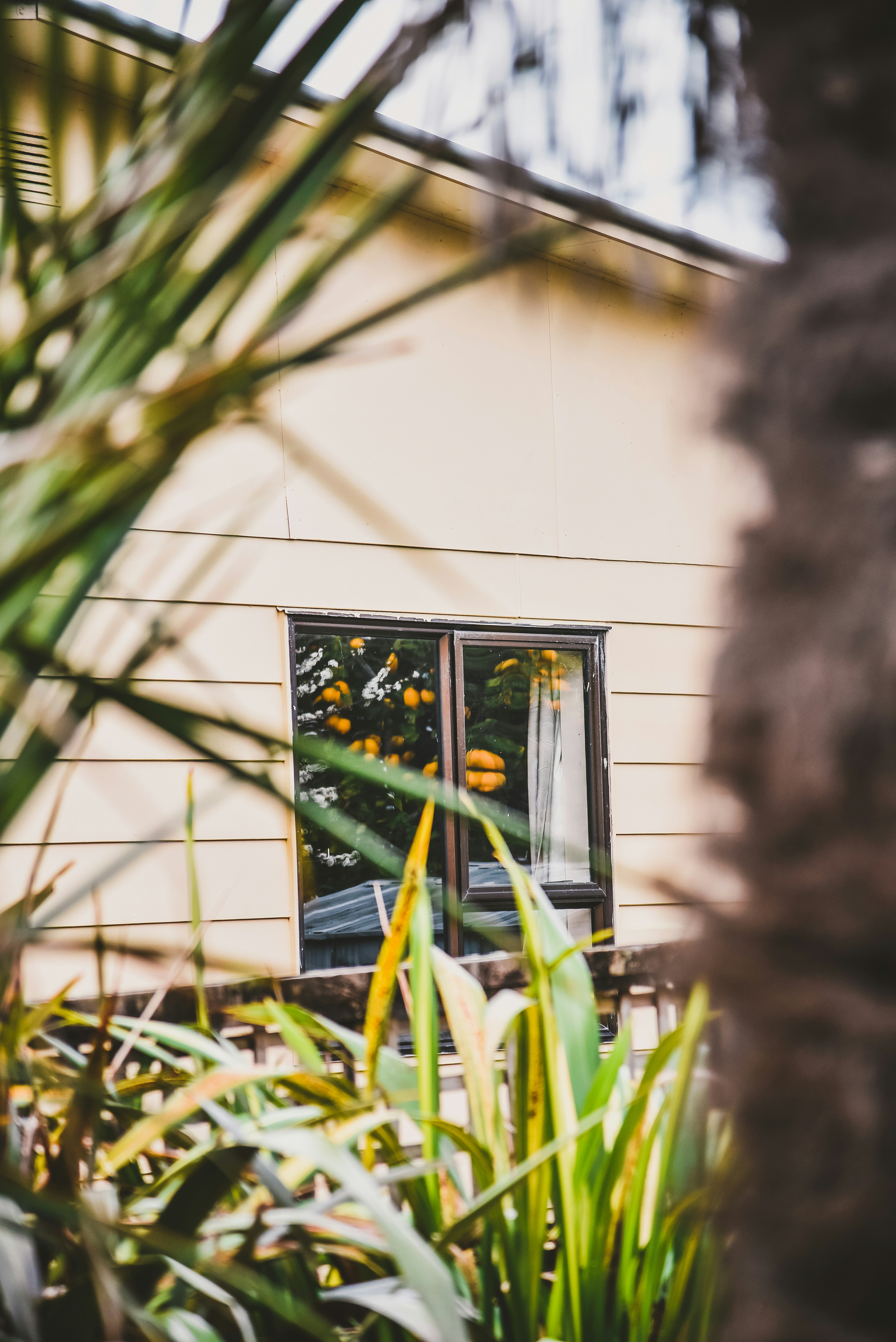 A view of a house through a window photo – Free Grey Image on Unsplash