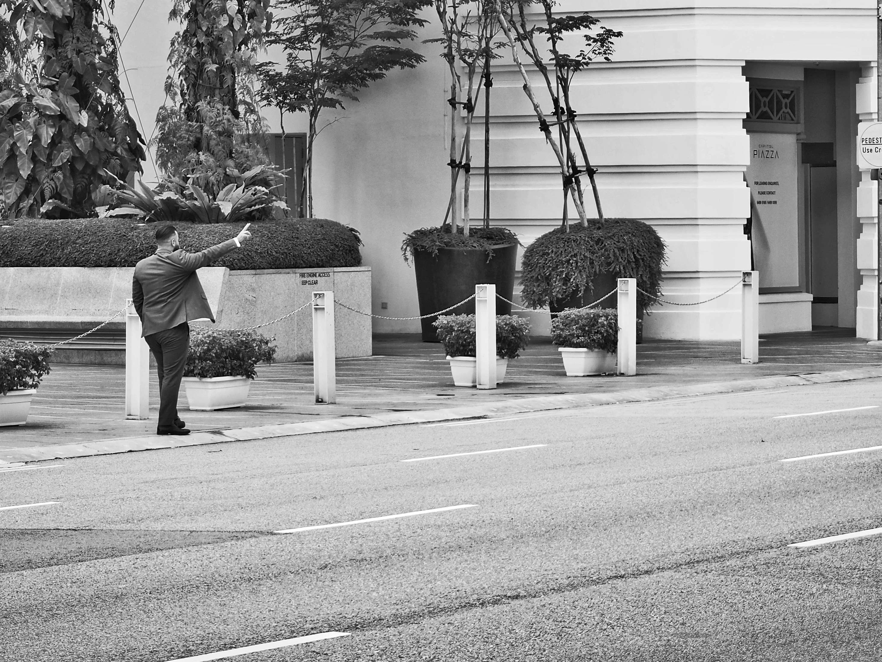 Gesture at the Stately Entrance: A solitary figure on a grayscale street