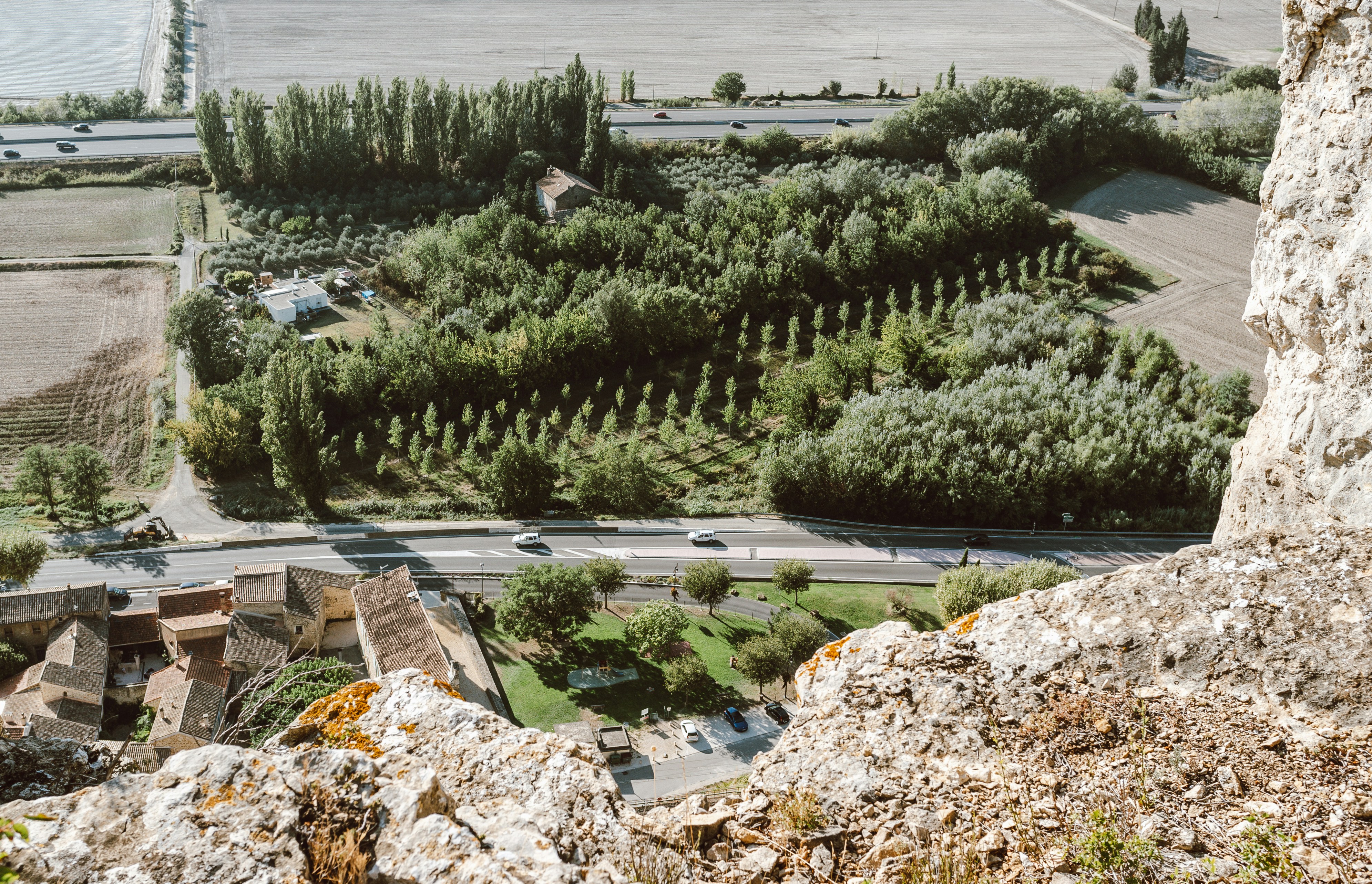 Aerial view showcasing a lush green landscape with neatly arranged trees, bordered by a winding road and distant fields. The scene illustrates the harmonious blend of nature and human development.