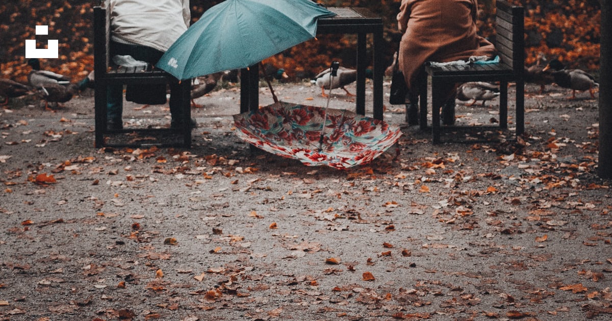 Deux Personnes Assises Sur Un Banc Avec Deux Parapluies Photo Photo