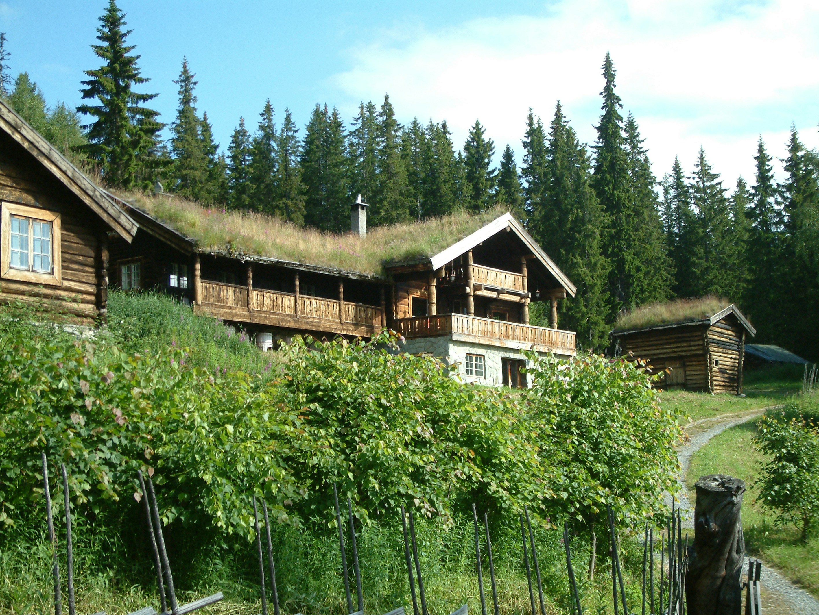 Grass-Roofed Chalets Crown a Sunlit Alpine hillside