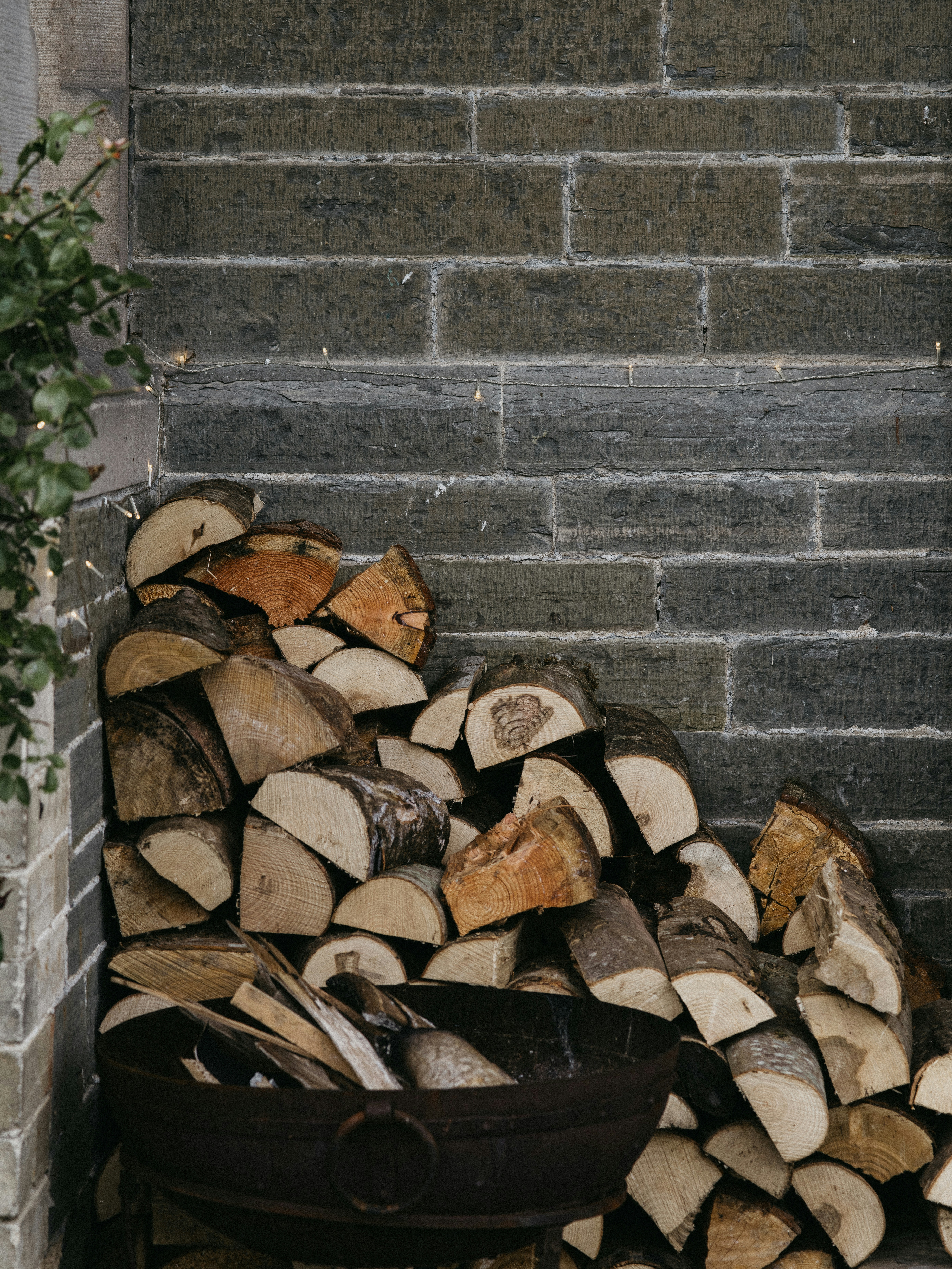 Stacked Firewood in a Corner: Texture and Quiet Rustle of Timber