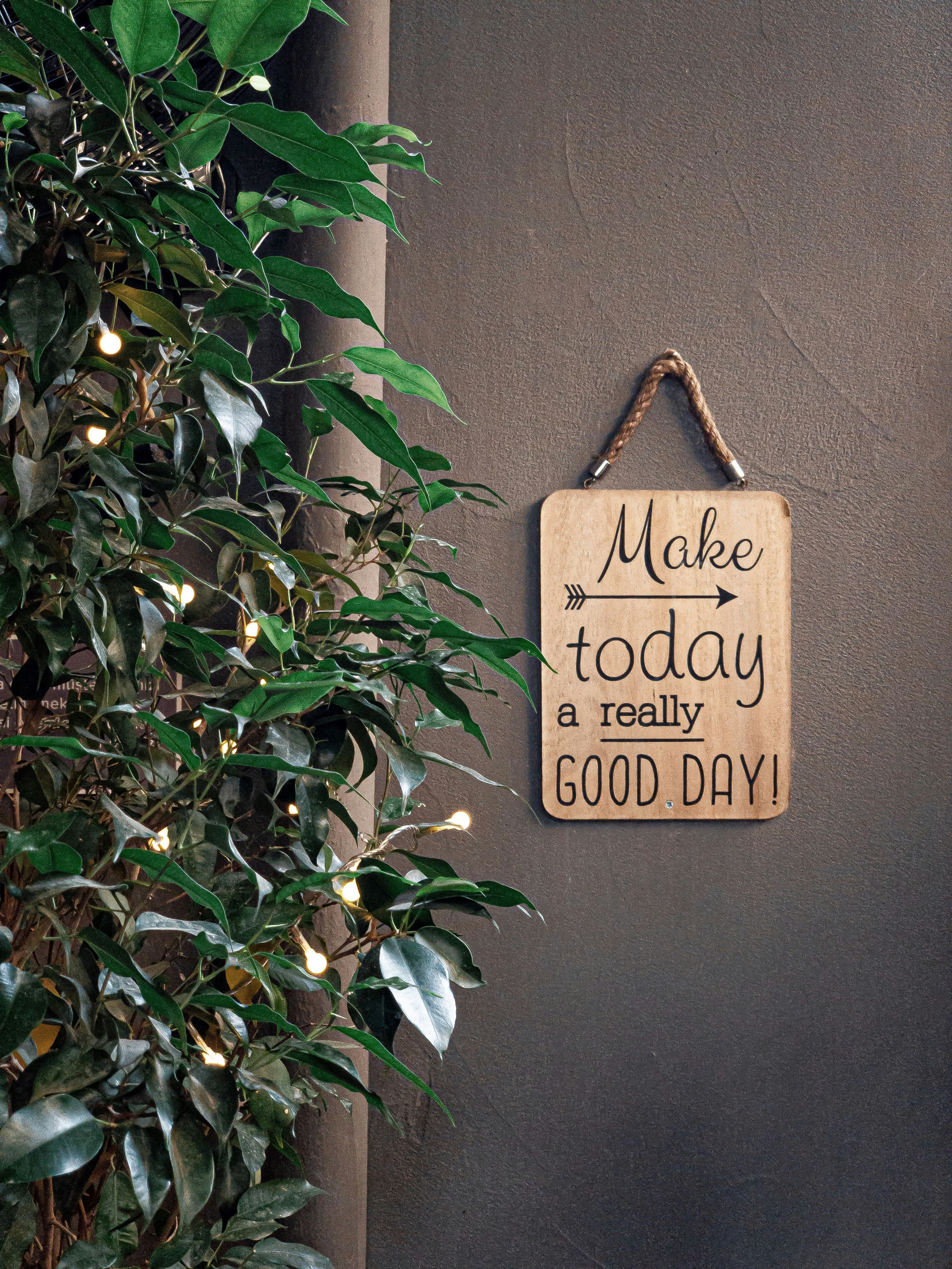 Brown make today a really good day signage beside green plant photo ...