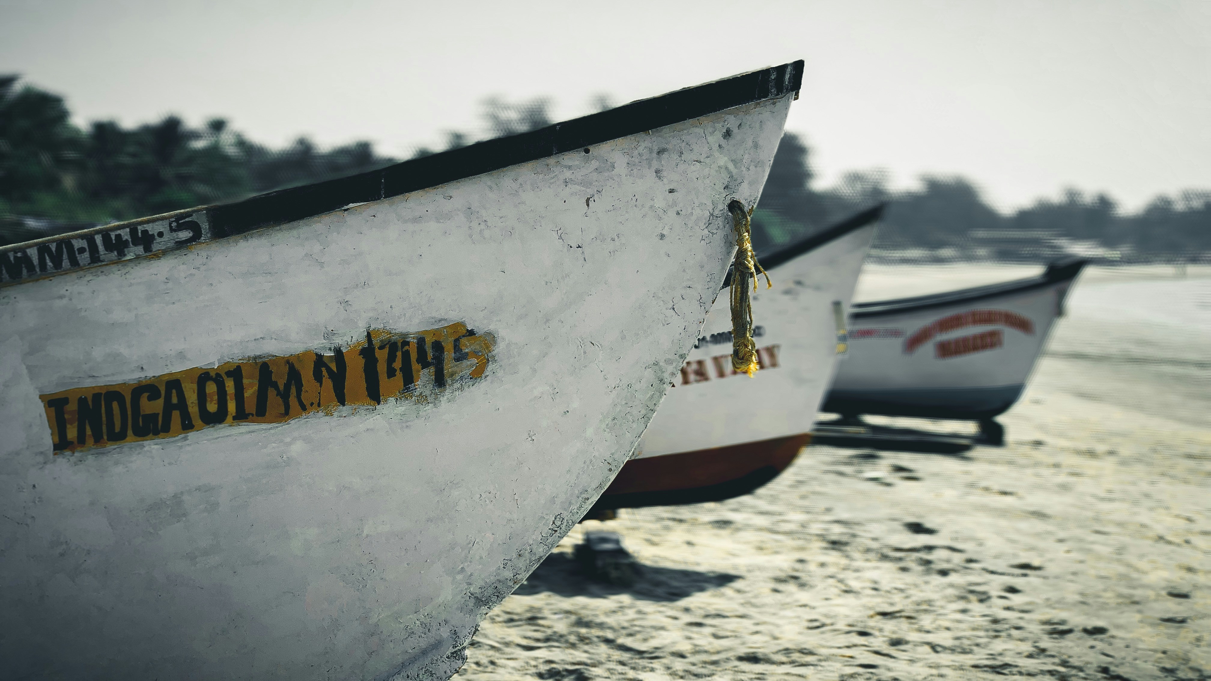 Shortpocket _ (@shortpocket_) | Communauté photos Unsplash