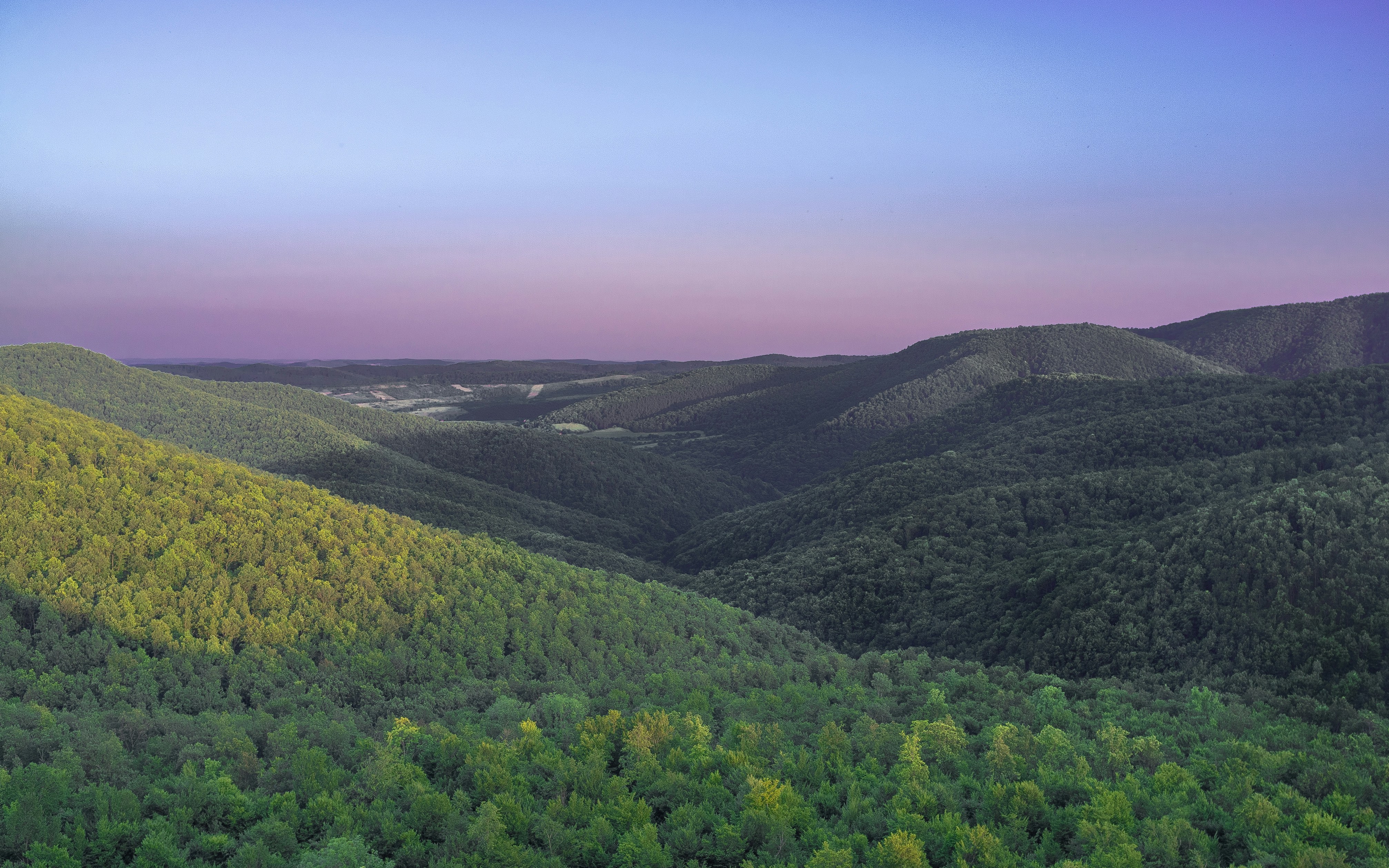 Grass field at daytime photo – Free Borzești Image on Unsplash