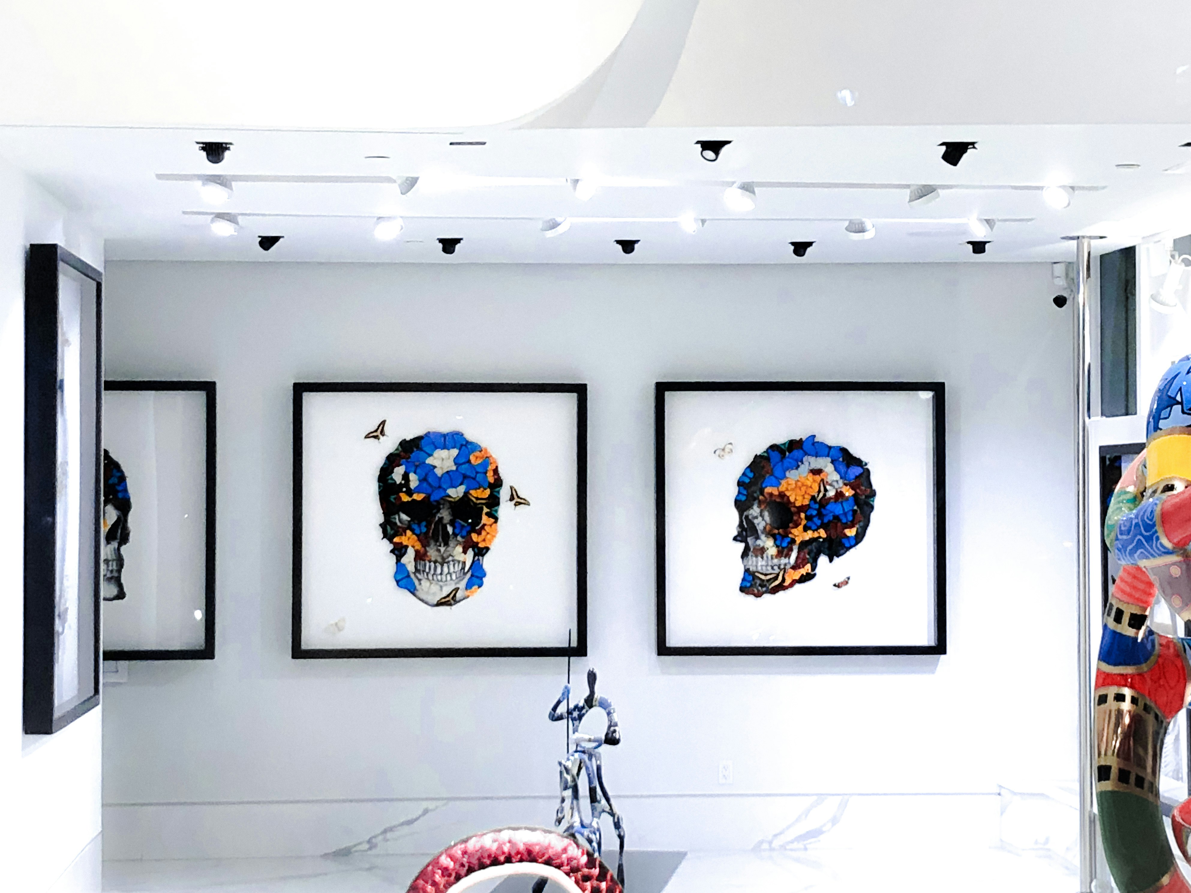 Skull Portraits in a Minimal Gallery