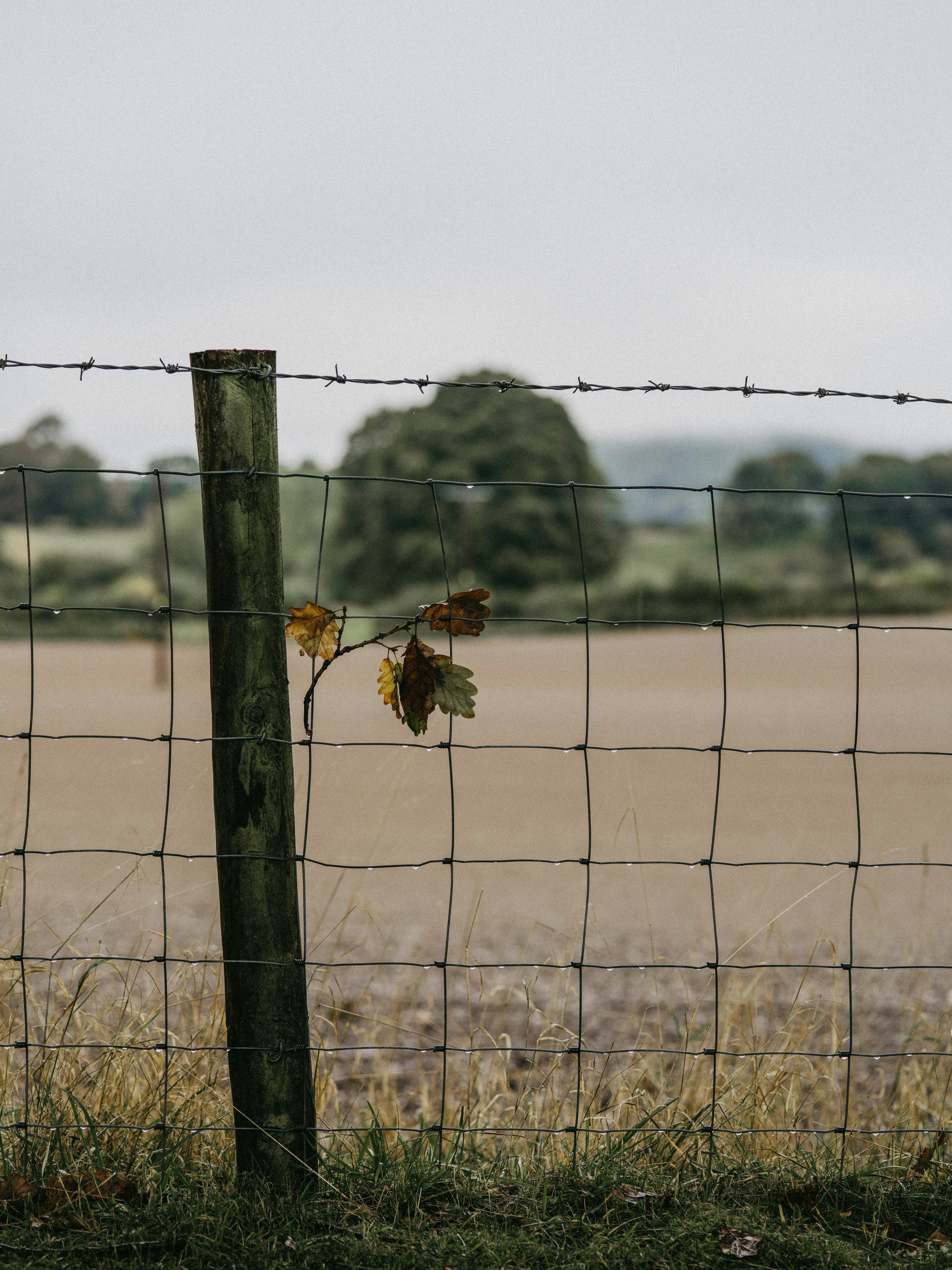 Grey cyclone fence during daytime photo – Free Brown Image on Unsplash