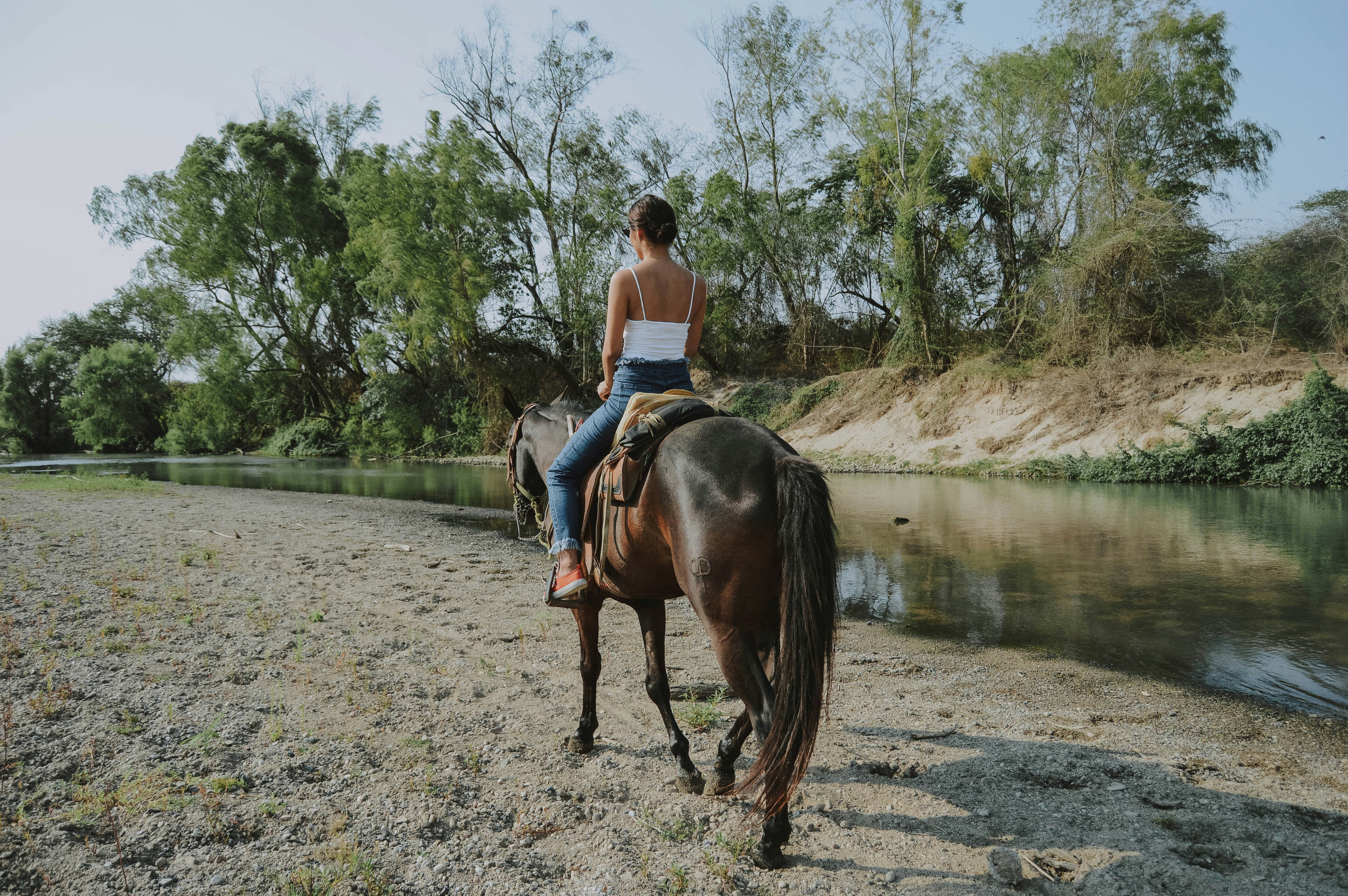 Pebble Path Rider: A lone figure on a dark horse along a sunlit riverbank