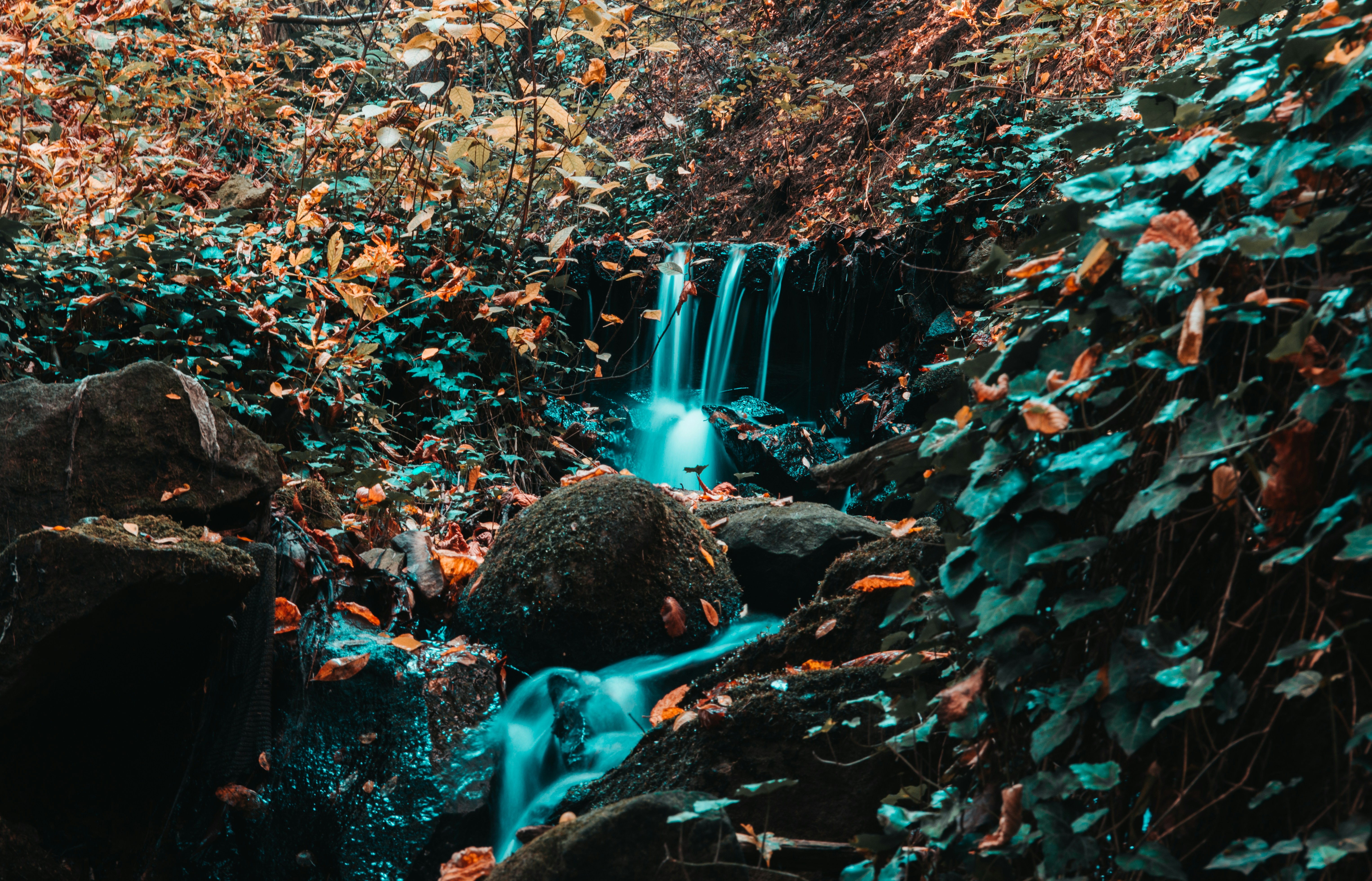 Gentle waterfall cascading over moss-covered rocks, surrounded by vibrant autumn foliage. The serene scene invites tranquility.