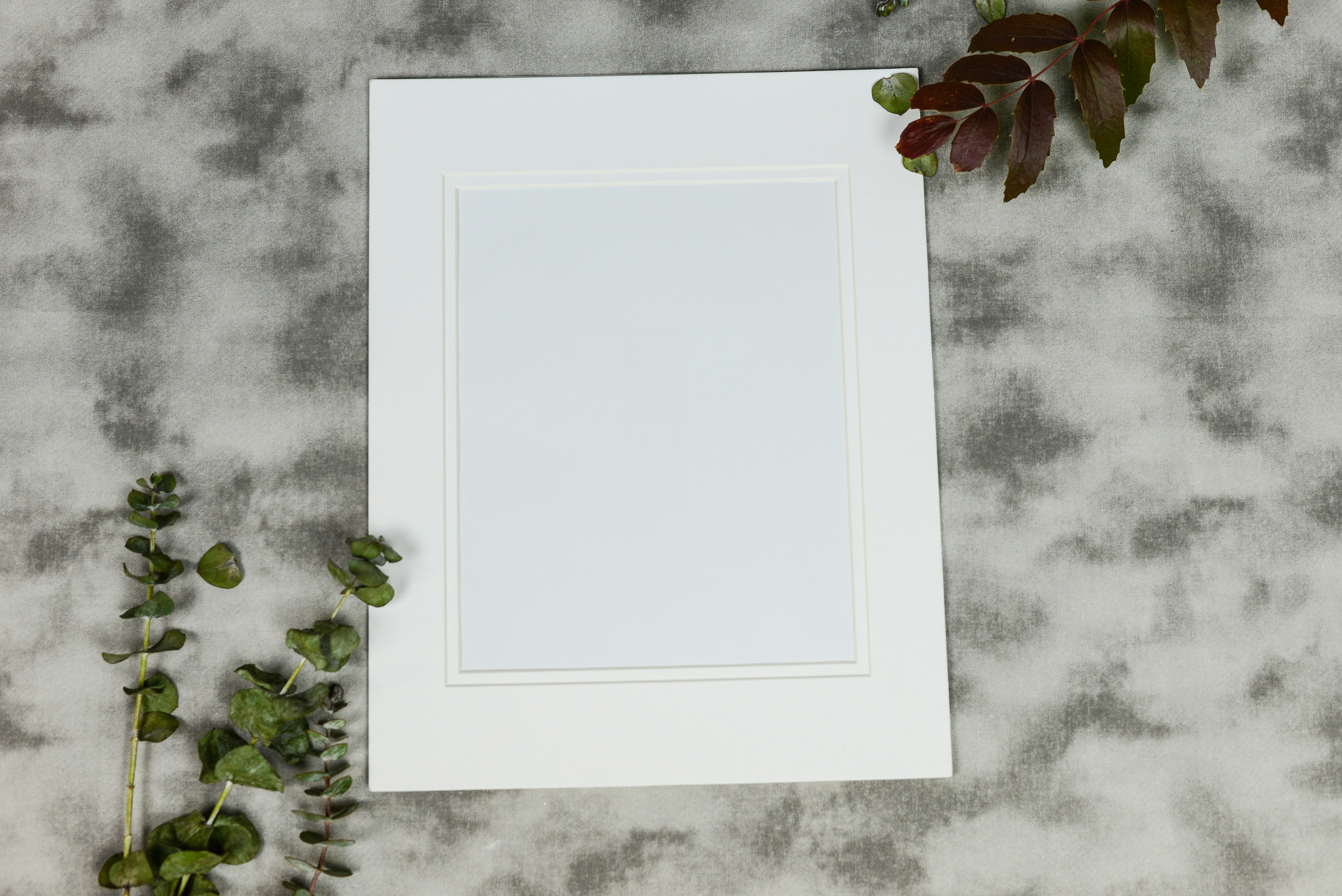 White photo frame photo – Free Flower Image on Unsplash