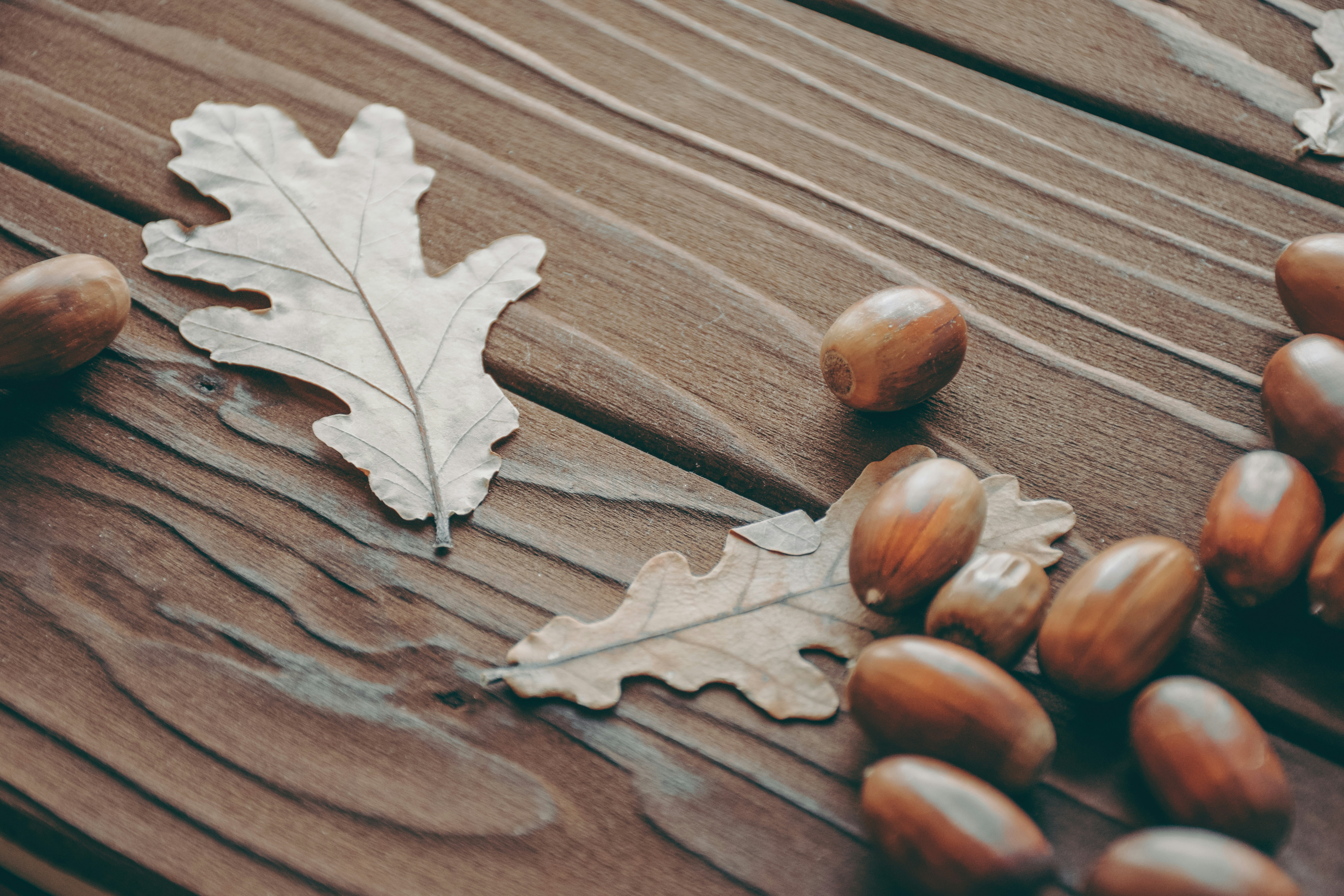 Whispers of Autumn on Woodgrain