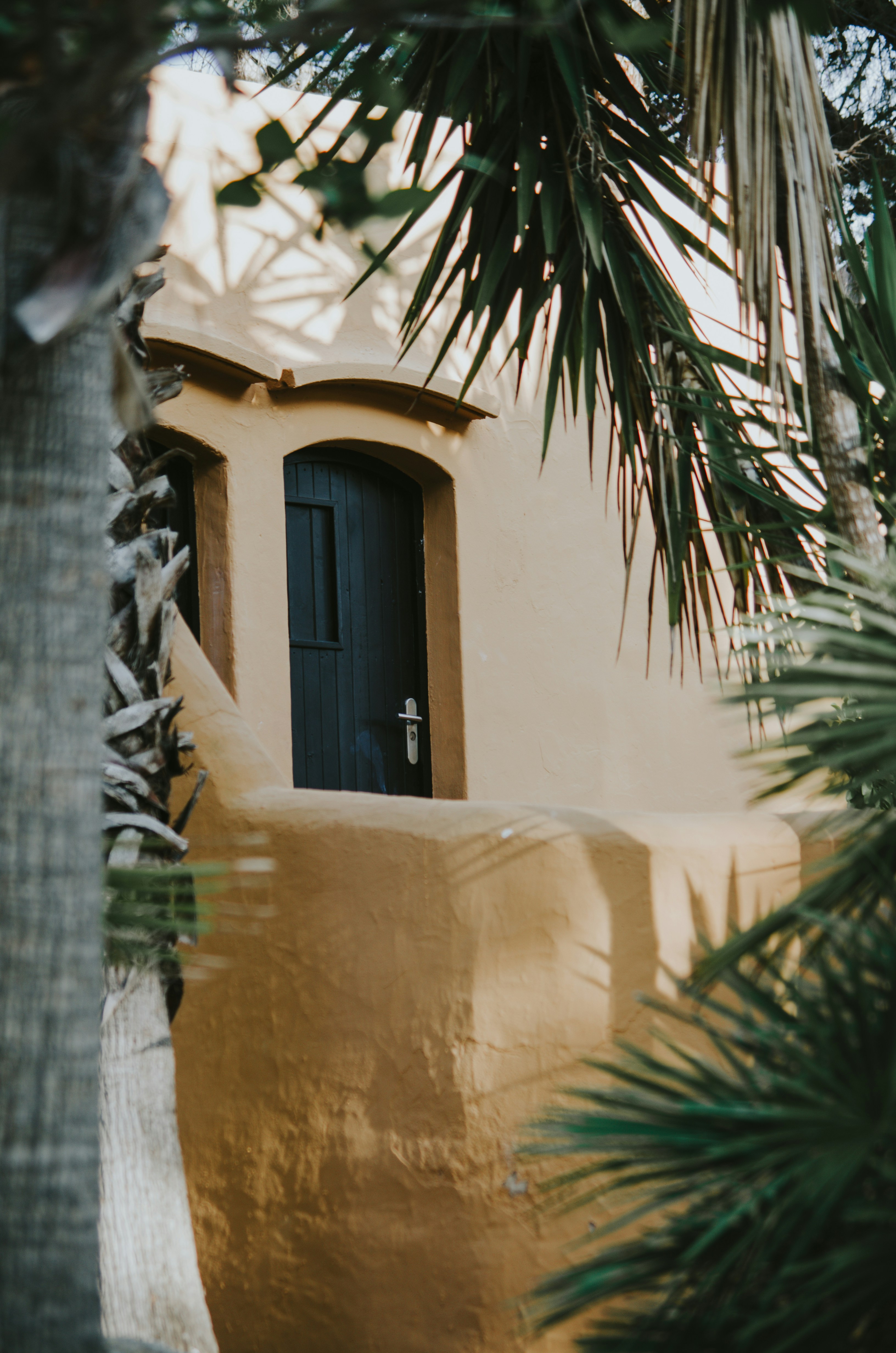 A secluded doorway framed by lush palm fronds, revealing a rustic charm of an ochre wall. The dark wooden door invites curiosity.