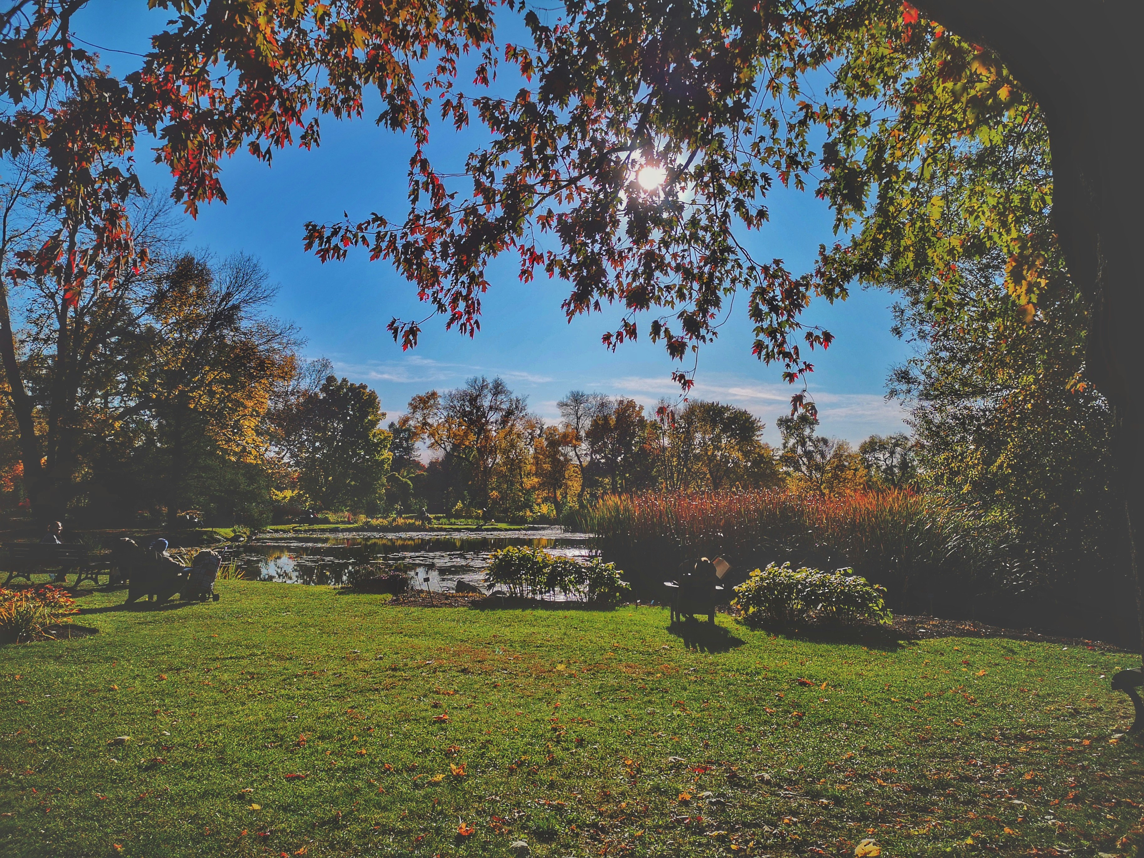 Parc Pictures | Download Free Images on Unsplash