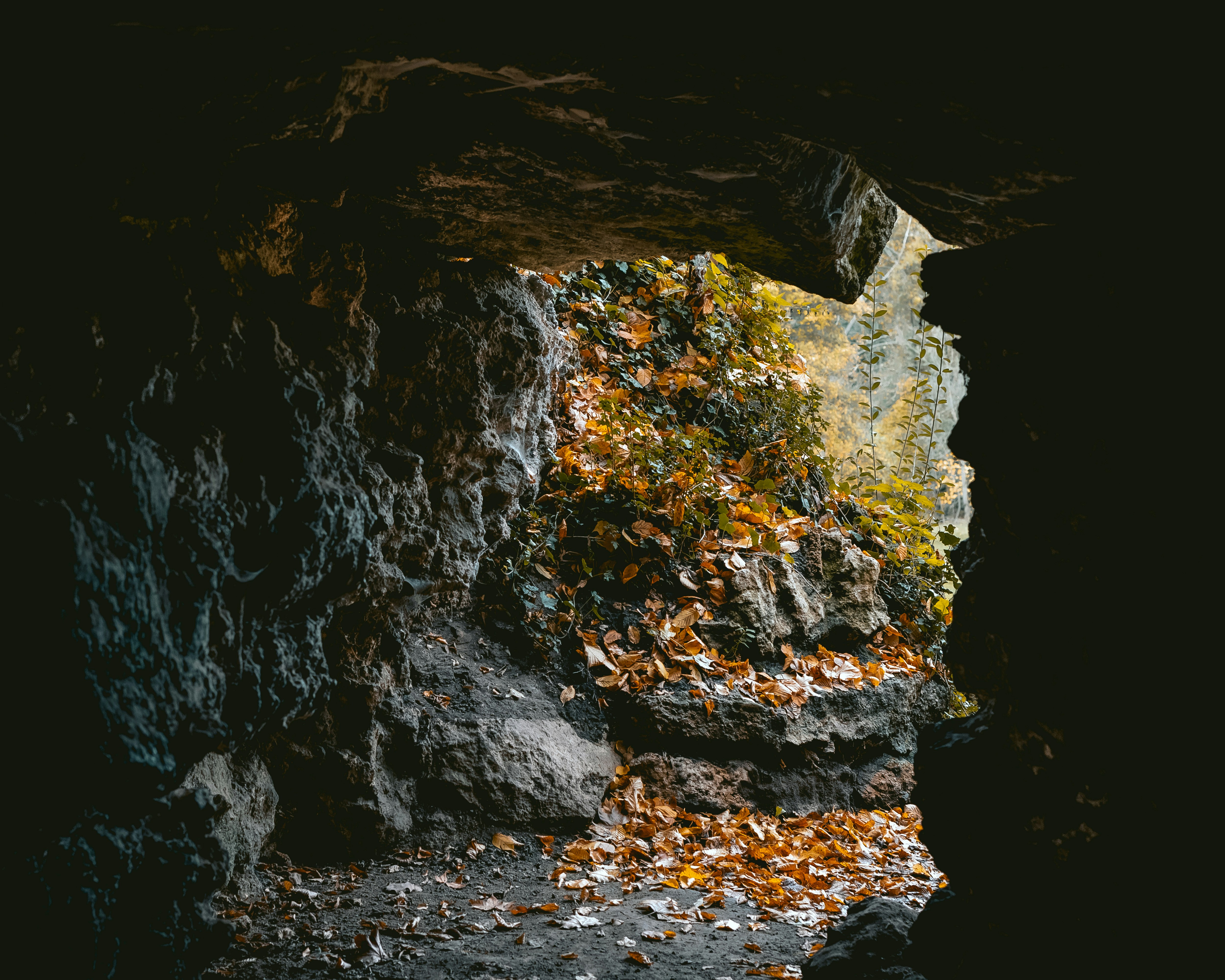 View through a rocky cave entrance revealing vibrant autumn foliage and scattered leaves. The natural light enhances the warm colors of the scene.