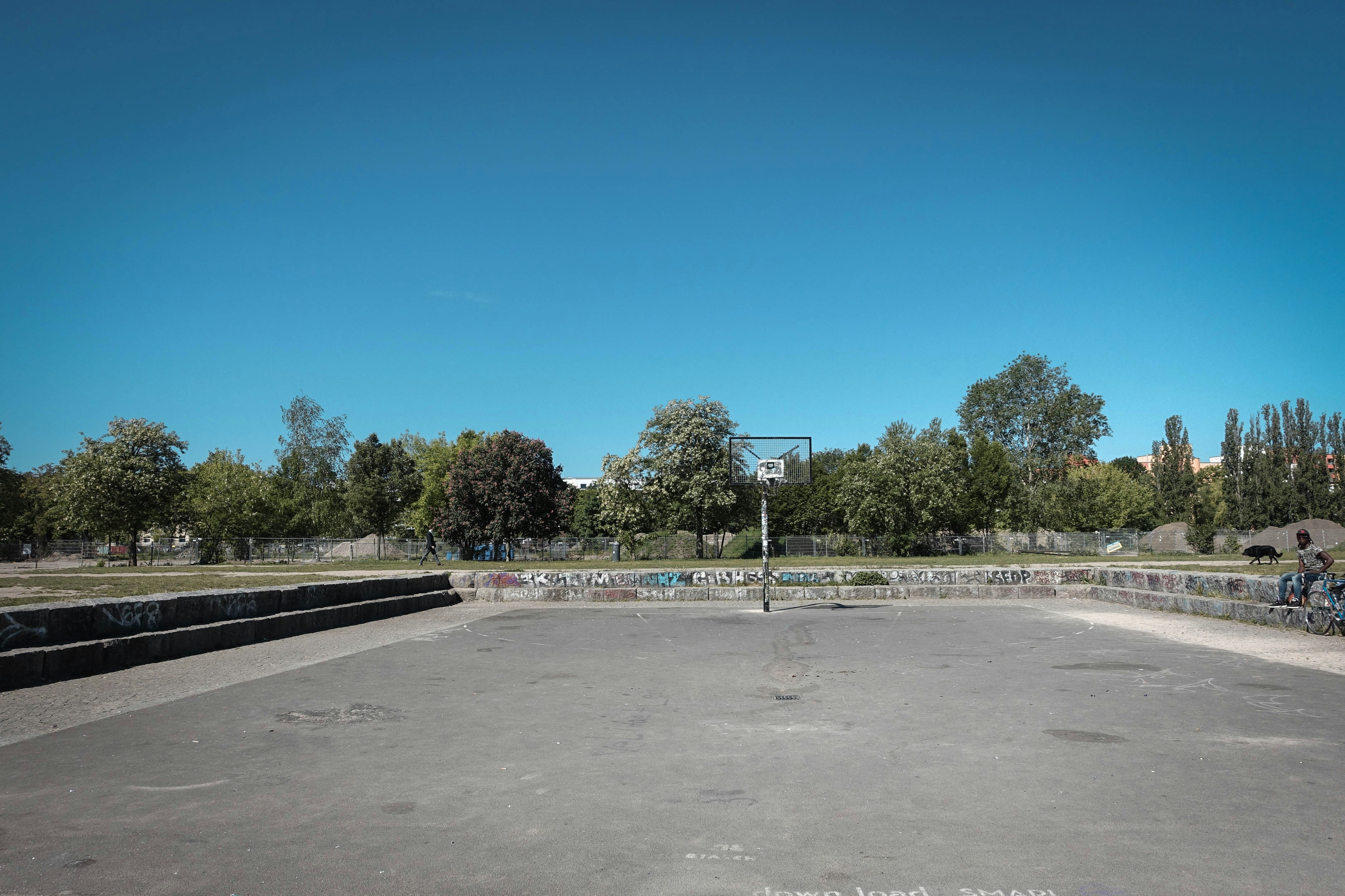 Black basketball hoop near trees at daytime photo – Free Building Image ...