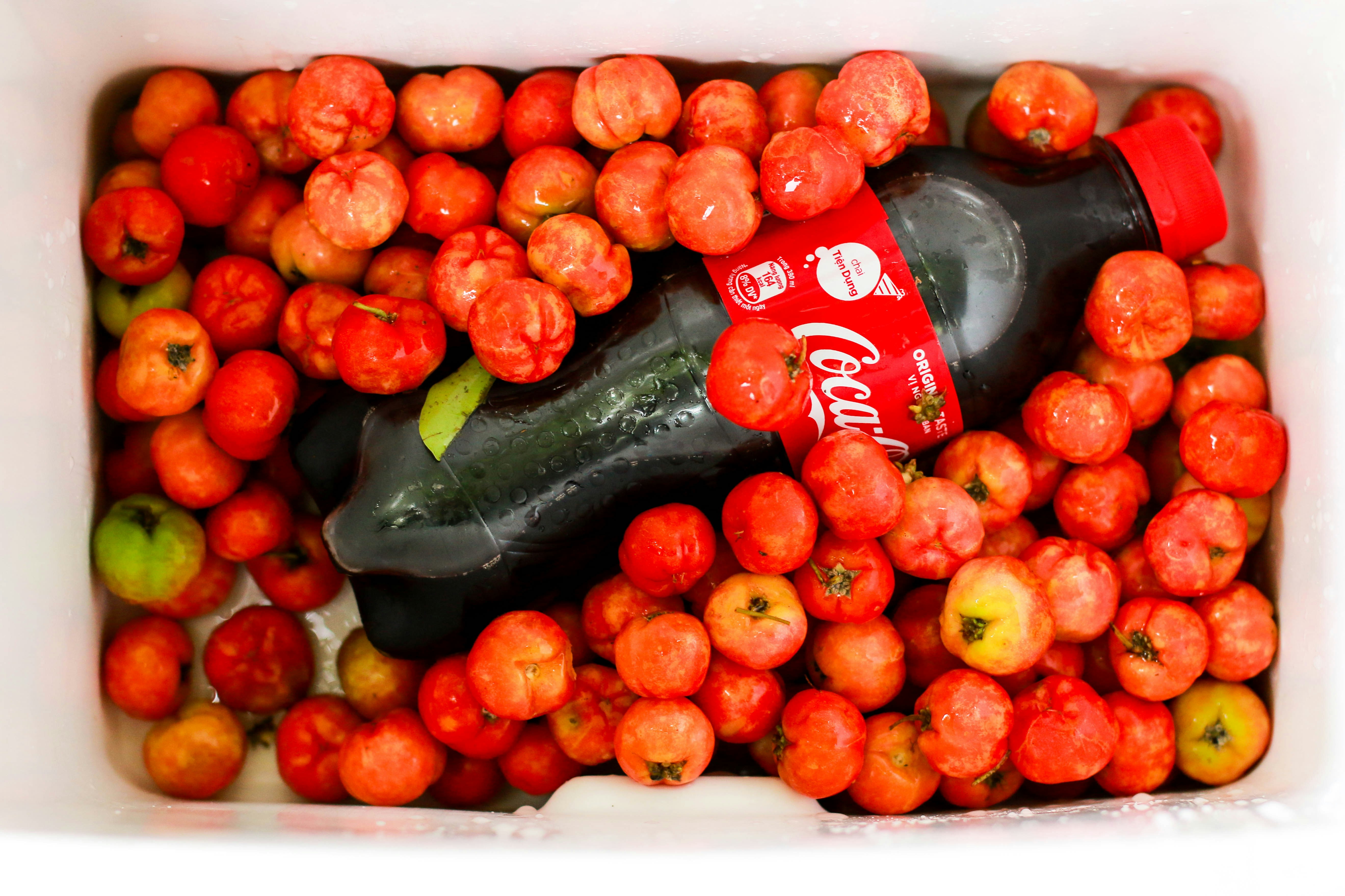 Coca-Cola soda bottle surrounded with fruits photo – Free Plant Image ...