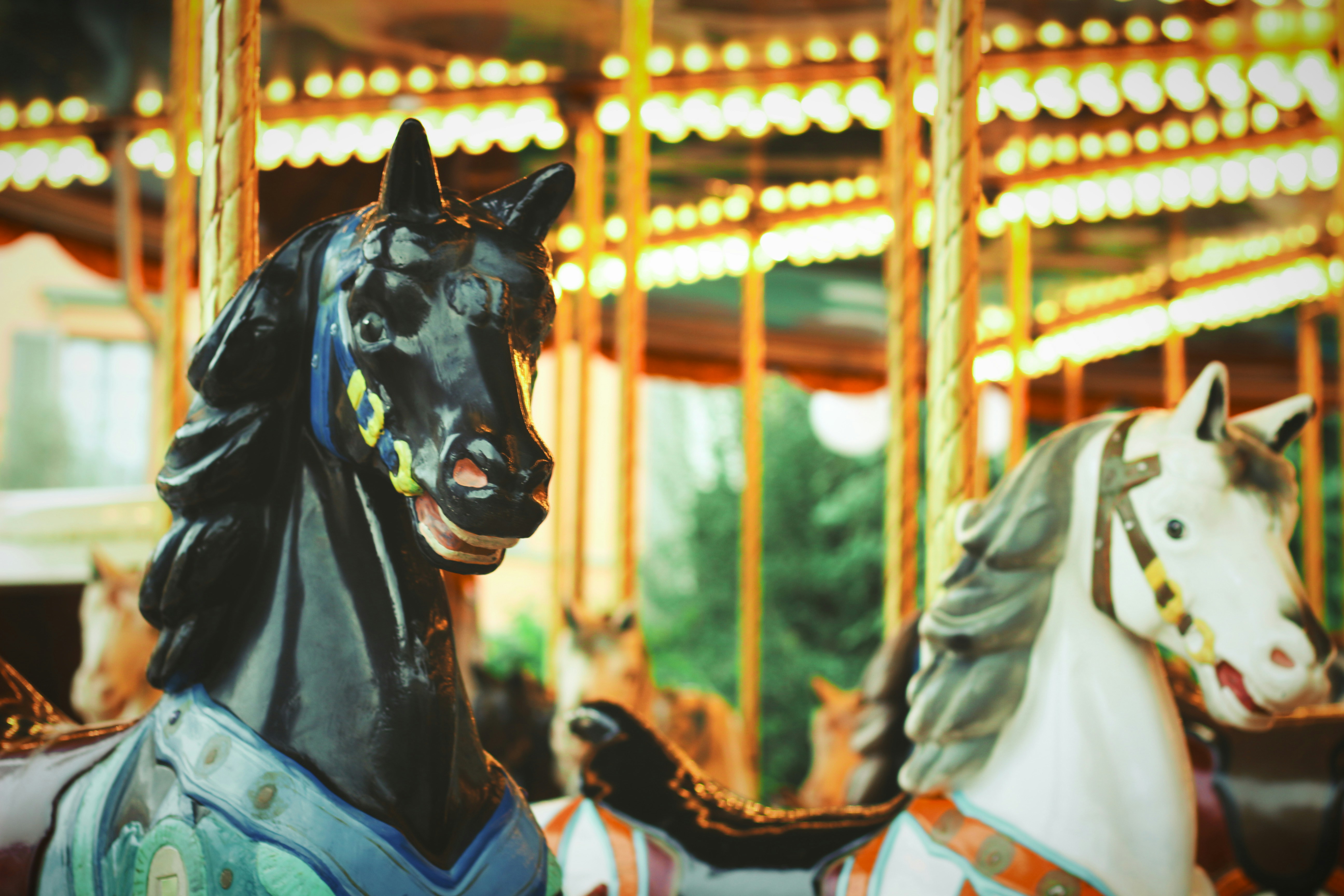 Carousel Horse Pictures | Download Free Images on Unsplash