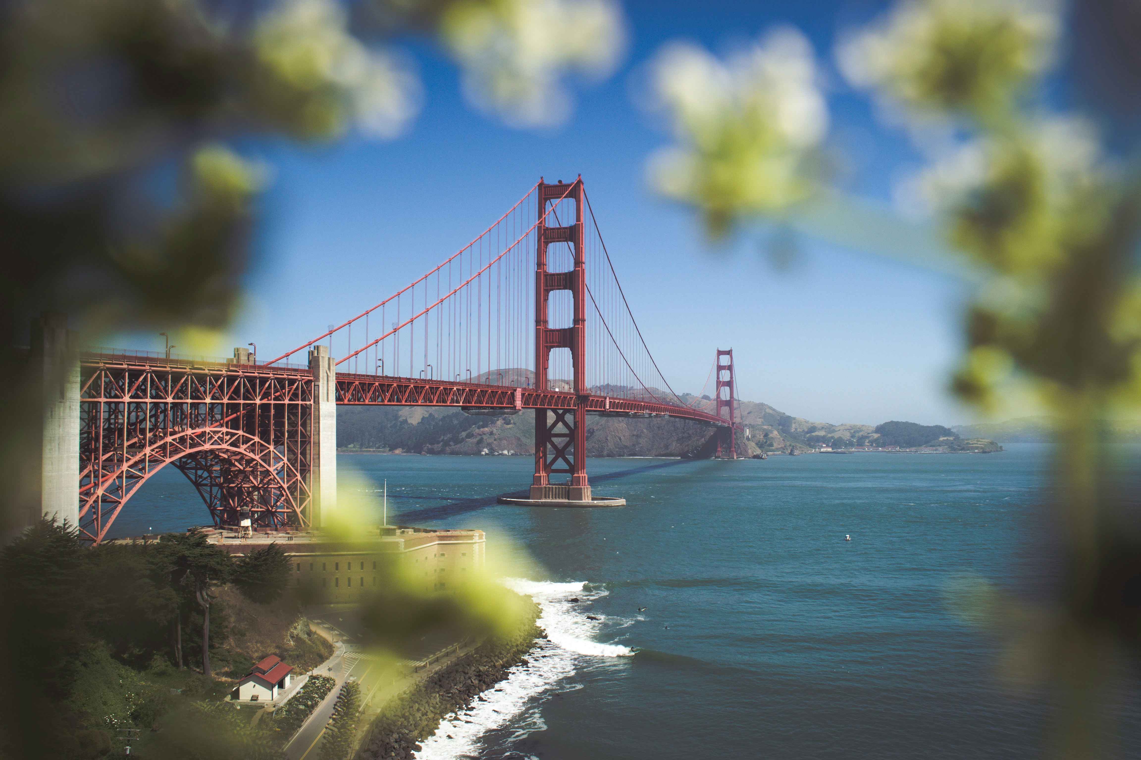 Golden Gate Bridge framed by soft, blurred floral elements, showcasing the harmony between natural beauty and human engineering.