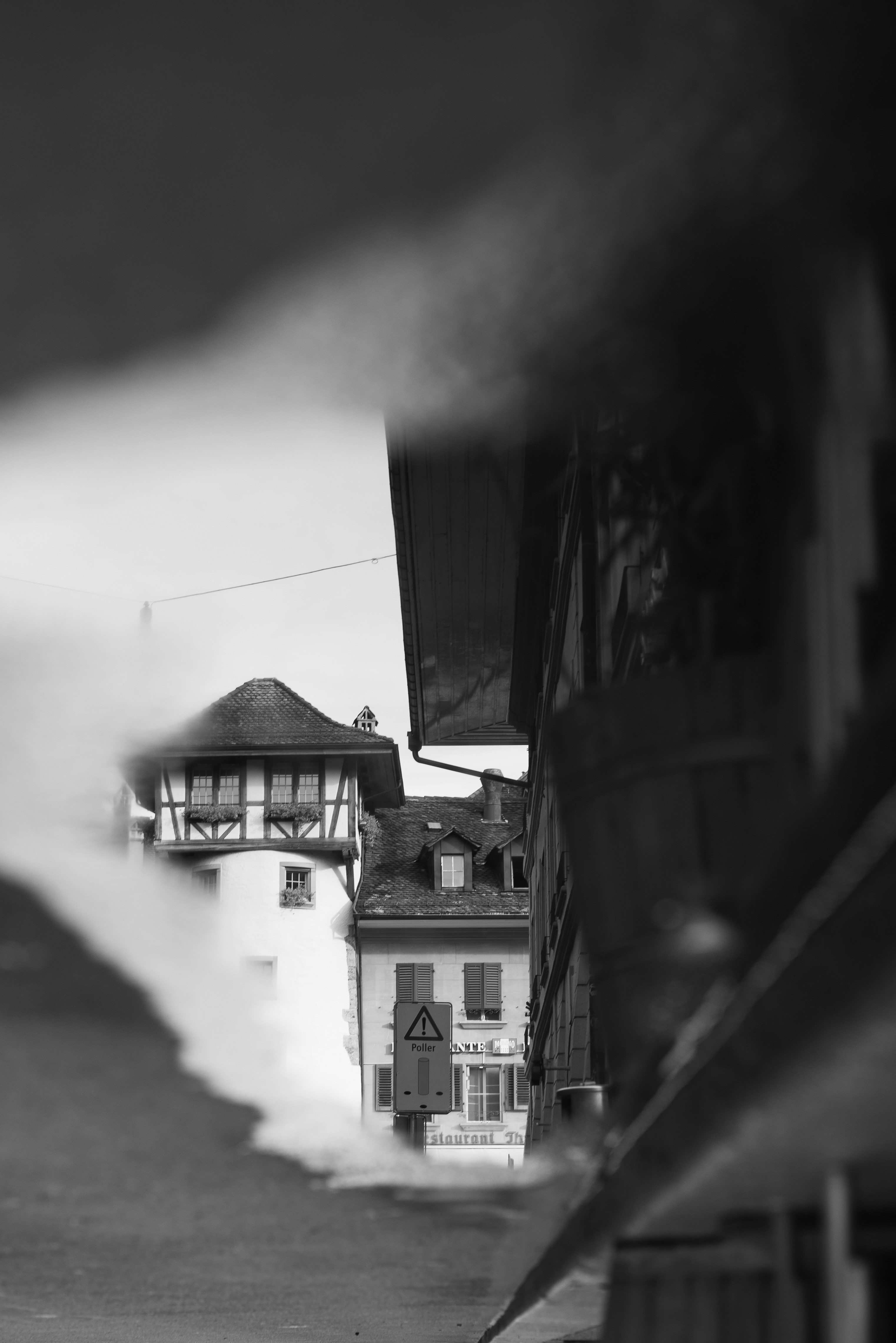 Steam Veil Over a Timbered Alpine Lane