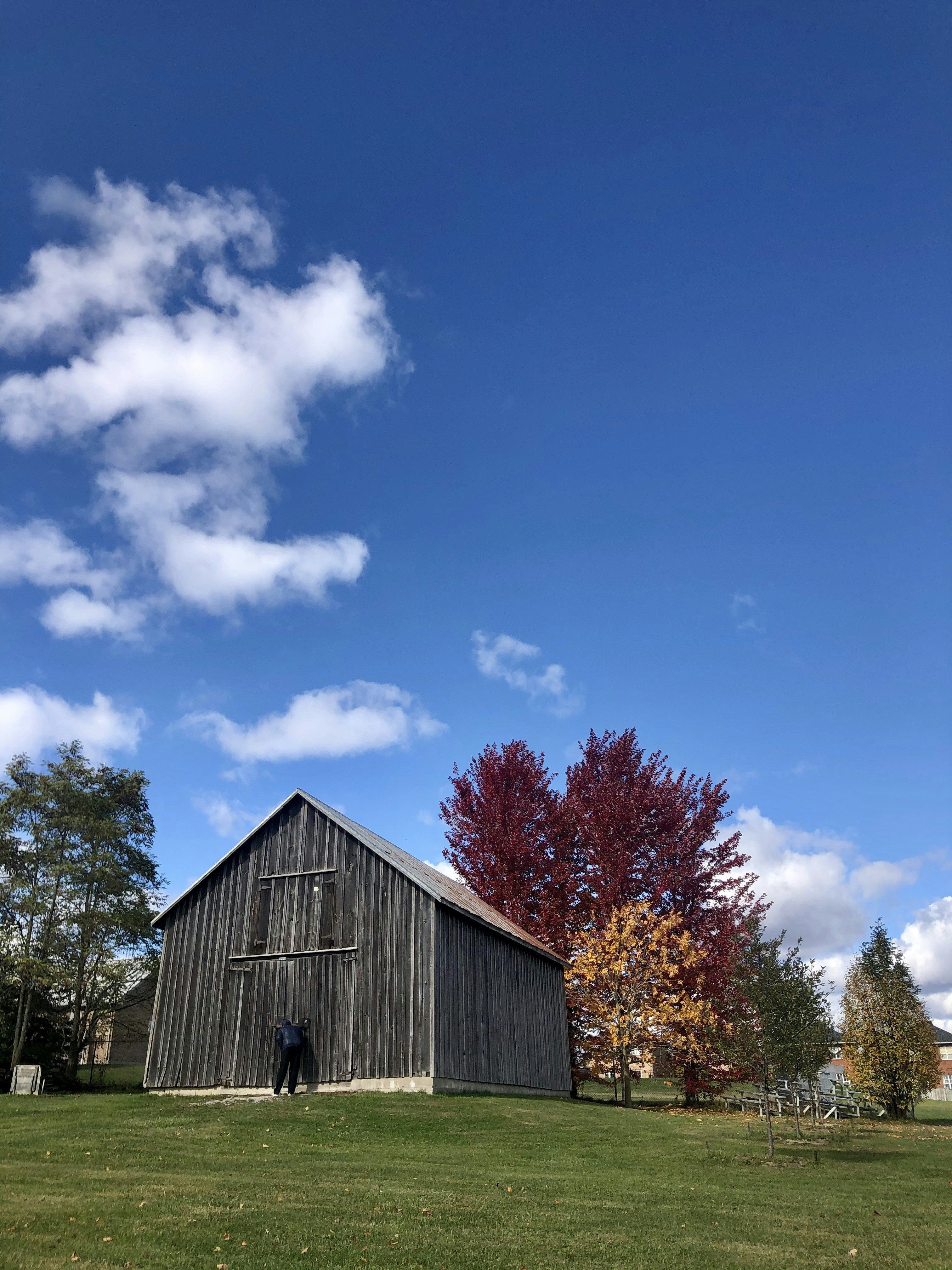 Weathered barn under a blue sky with autumn trees