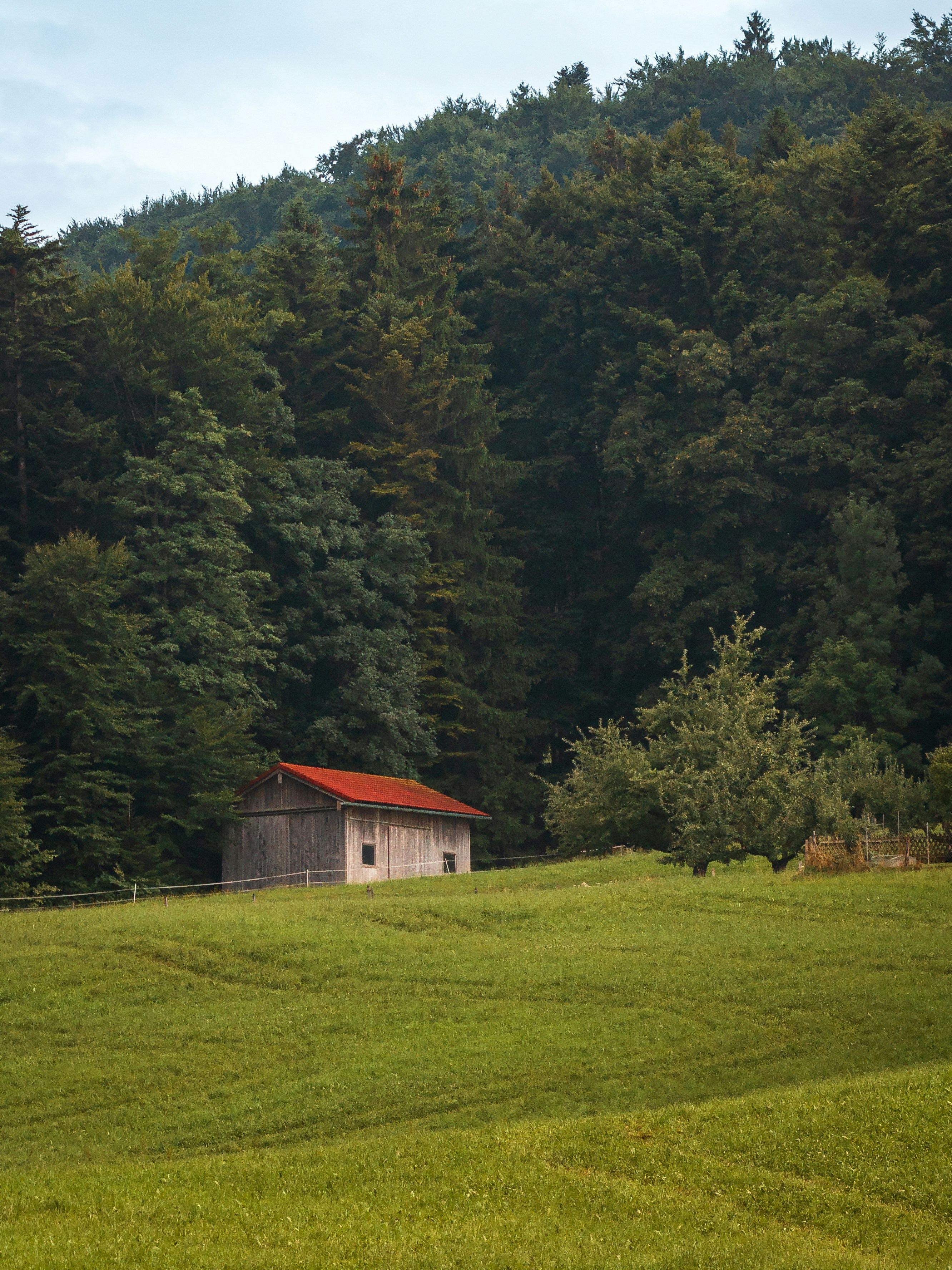 A quaint wooden cabin with a red roof nestled among lush green trees, surrounded by a serene meadow. The scene evokes a sense of tranquility and connection to nature.