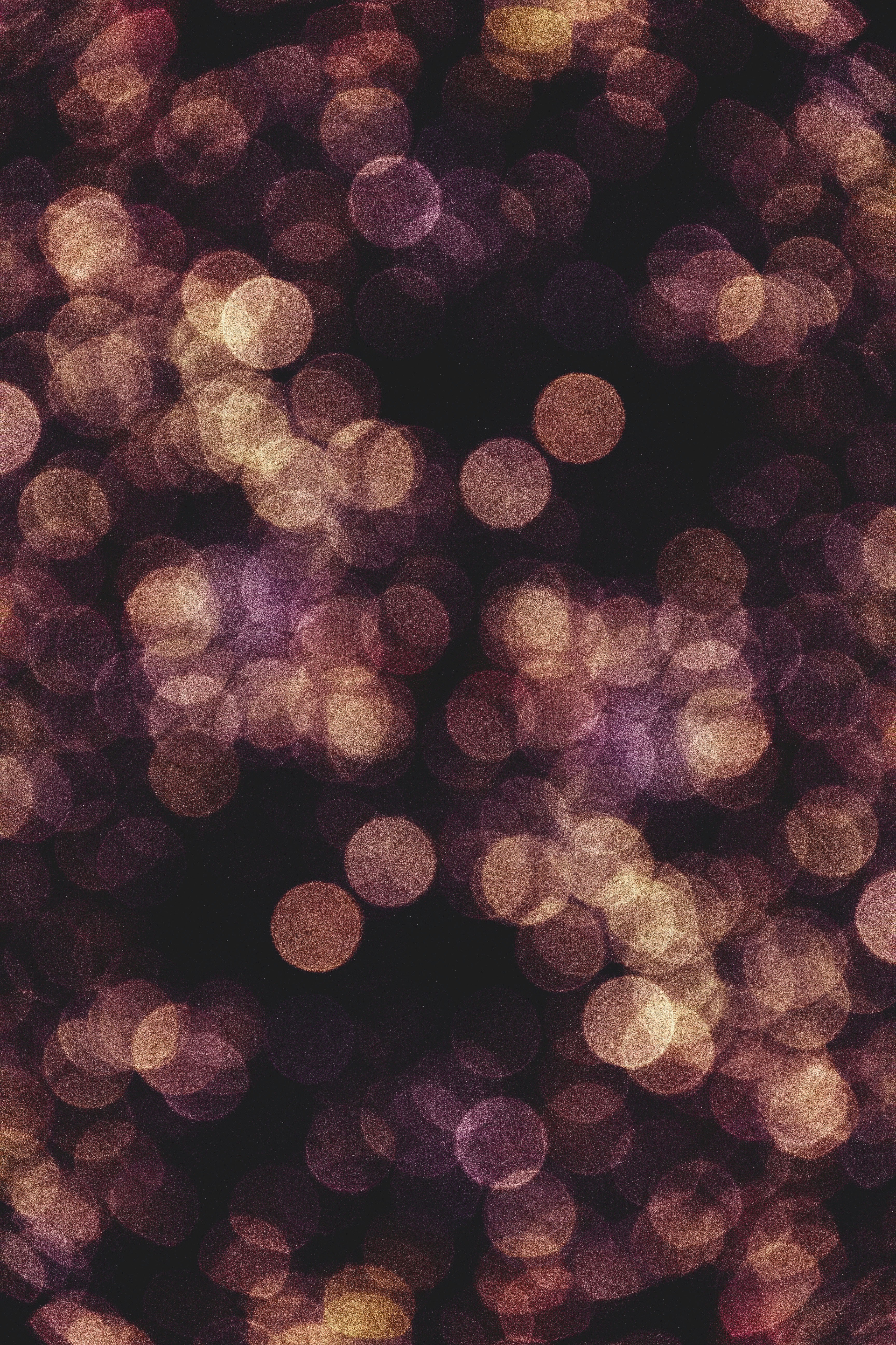 orange and pink bokeh photography