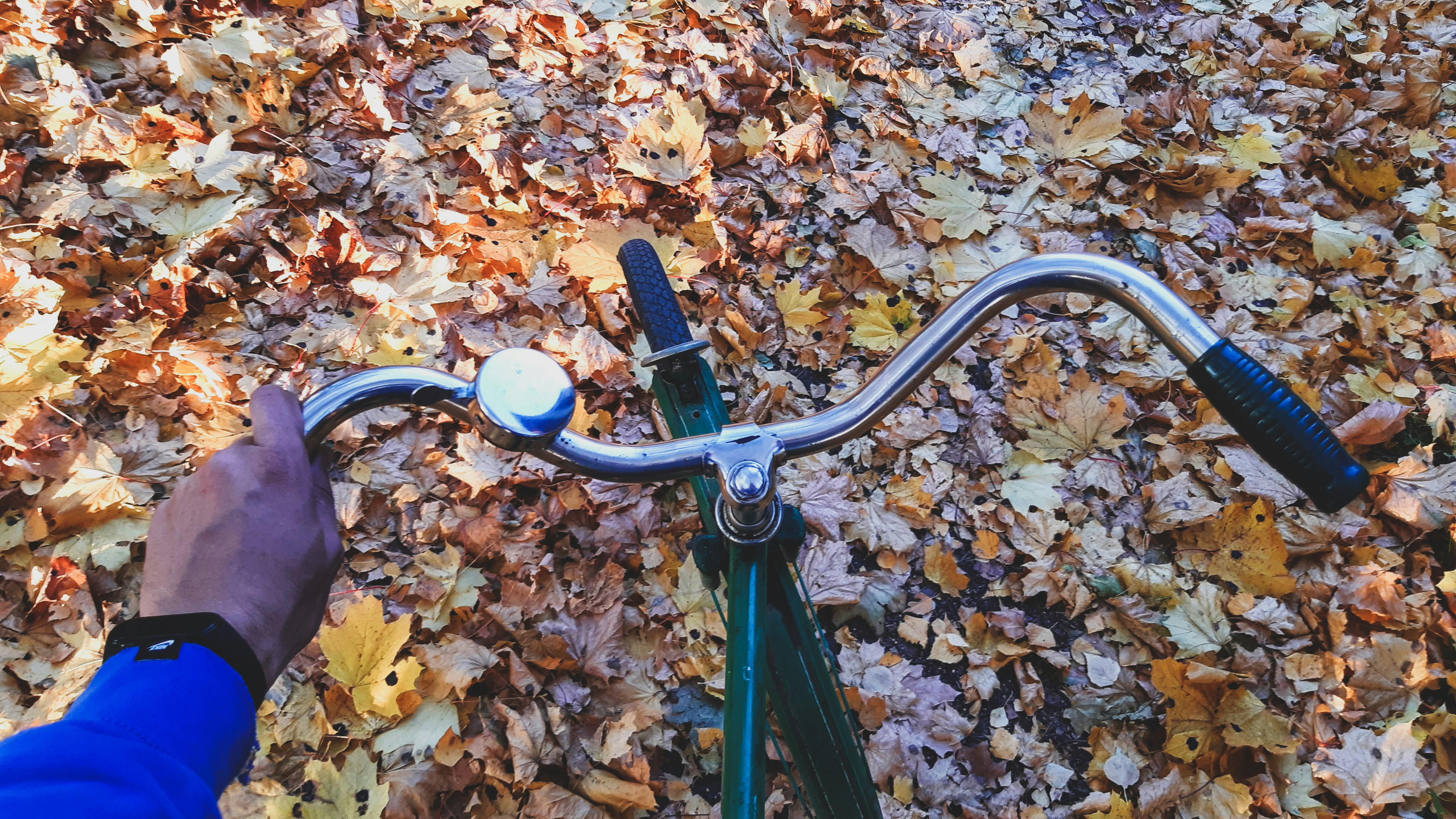 Autumn Ride: Leaf-Covered Path Ahead on a Quiet Bicycle