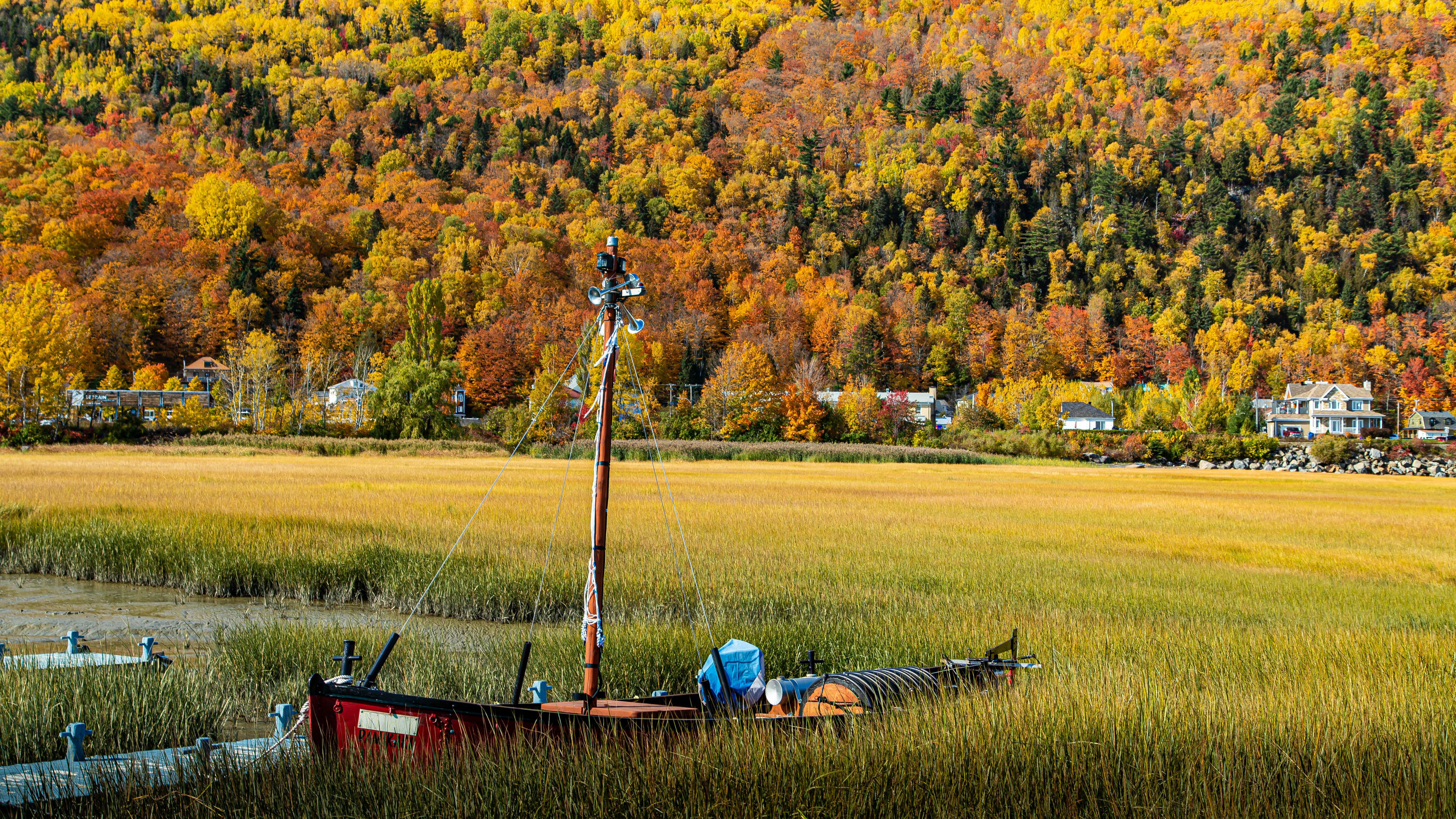 Autumn Riverbank: A lone boat at golden marsh with fall foliage backdrop