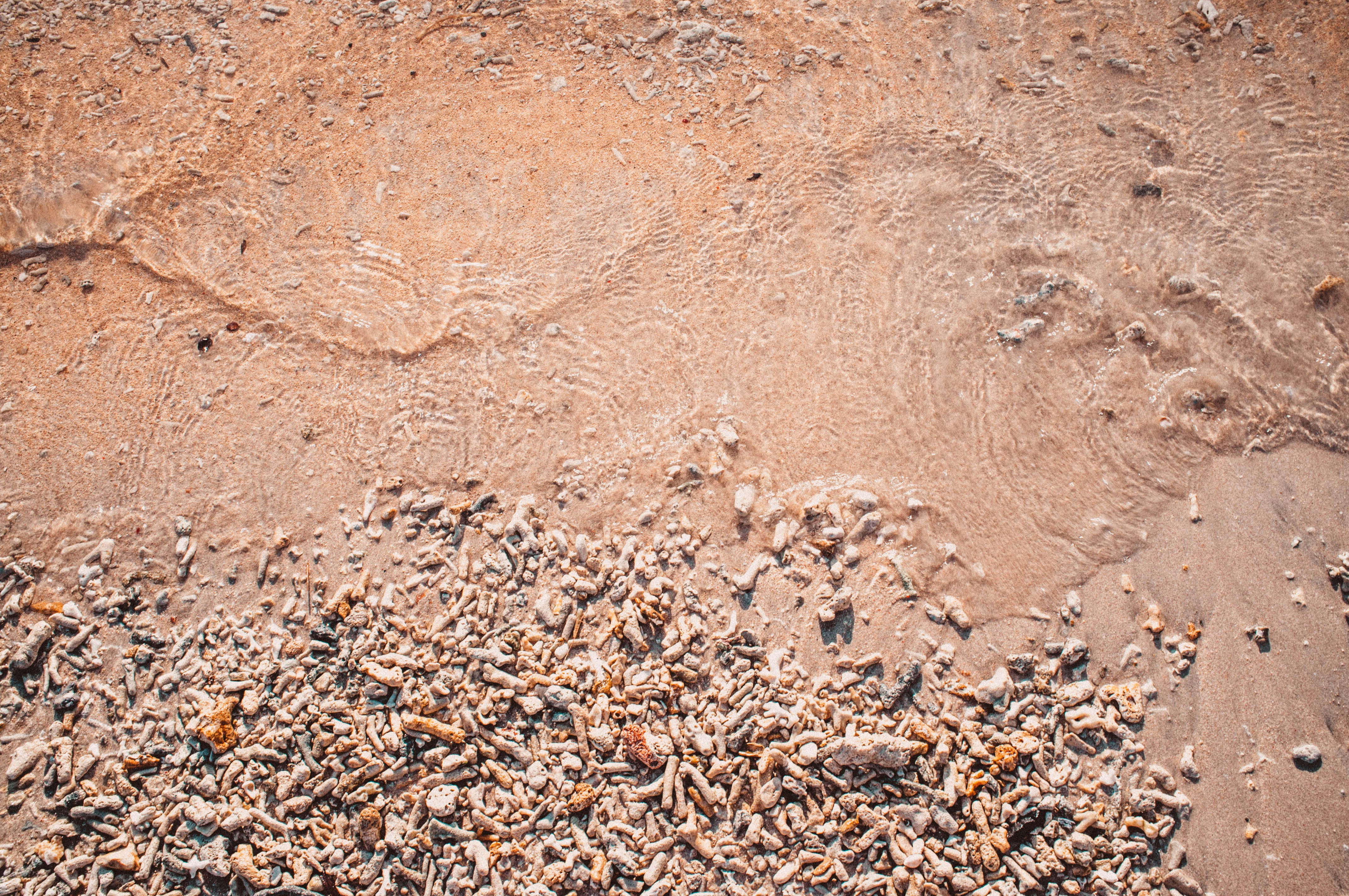 Close-up of wet sand mixed with small shells and pebbles on a beach.